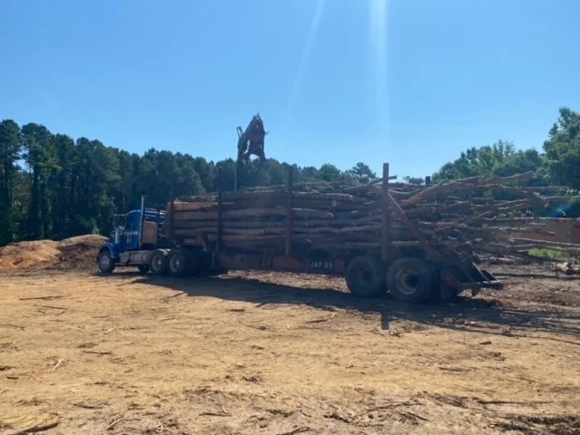 Logging — Wedges Firewood