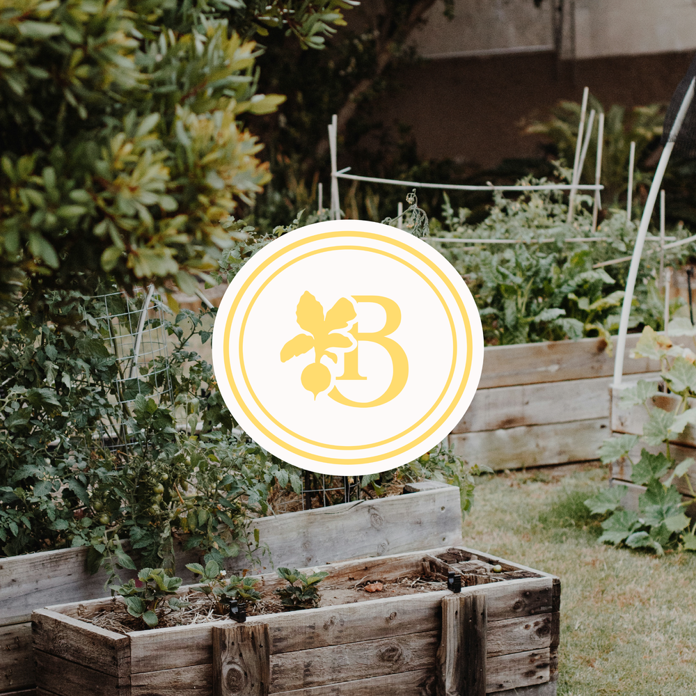 Portfolio | Client Projects — Collard Design Studio