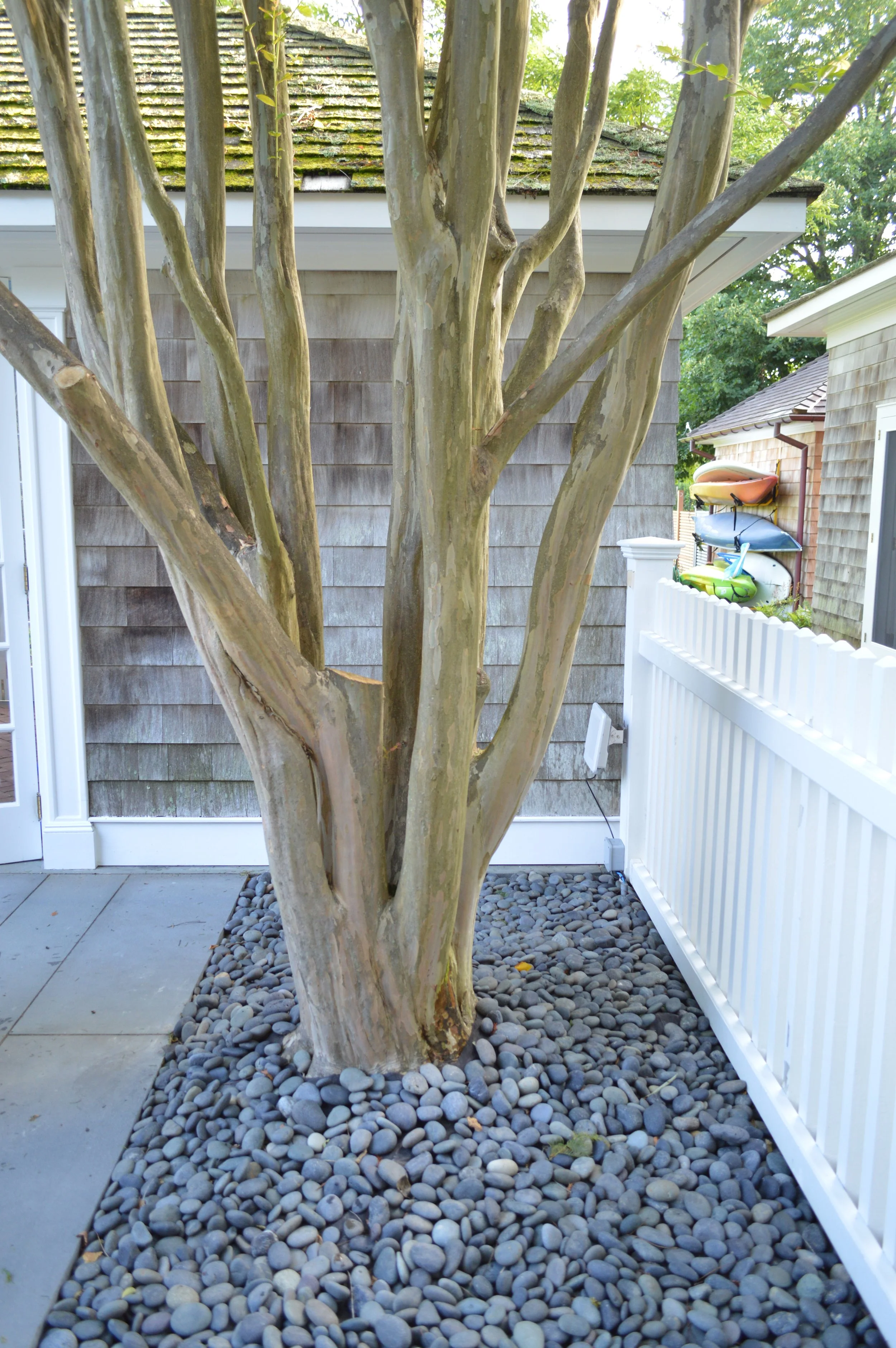 Wolf Tree Landscape Architects