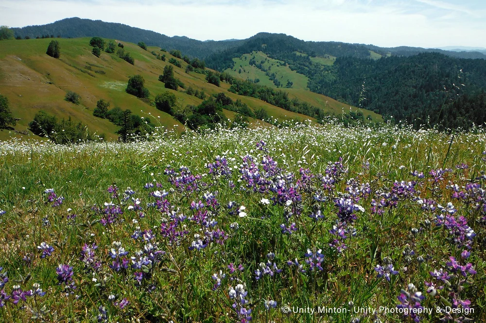 About Us — Mattole Valley Resource Center