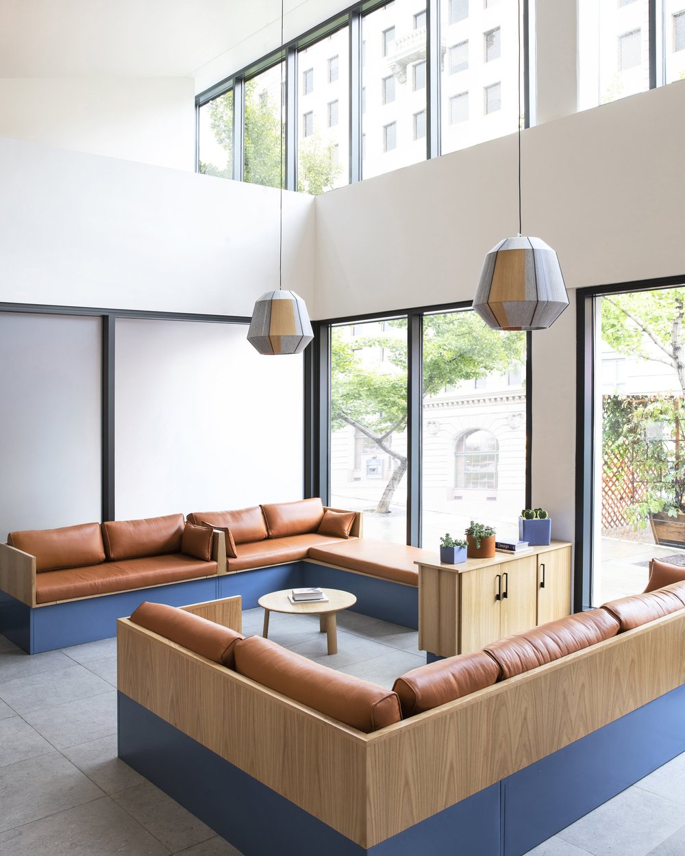 MODERN ANIMAL — Design, Bitches