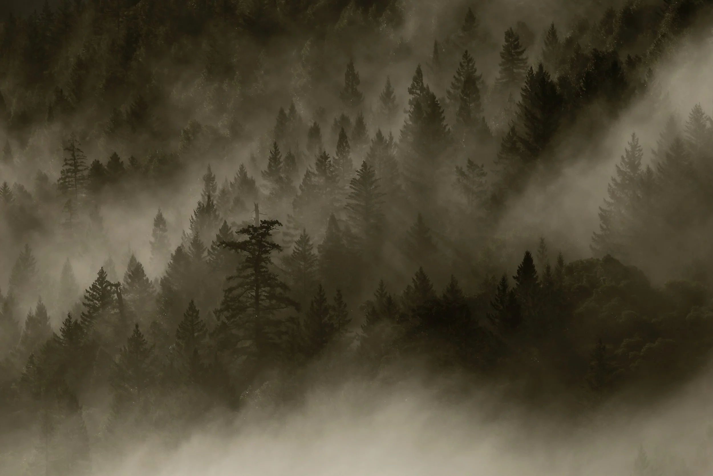 Mendocino Ridge — Murder Ridge Winery