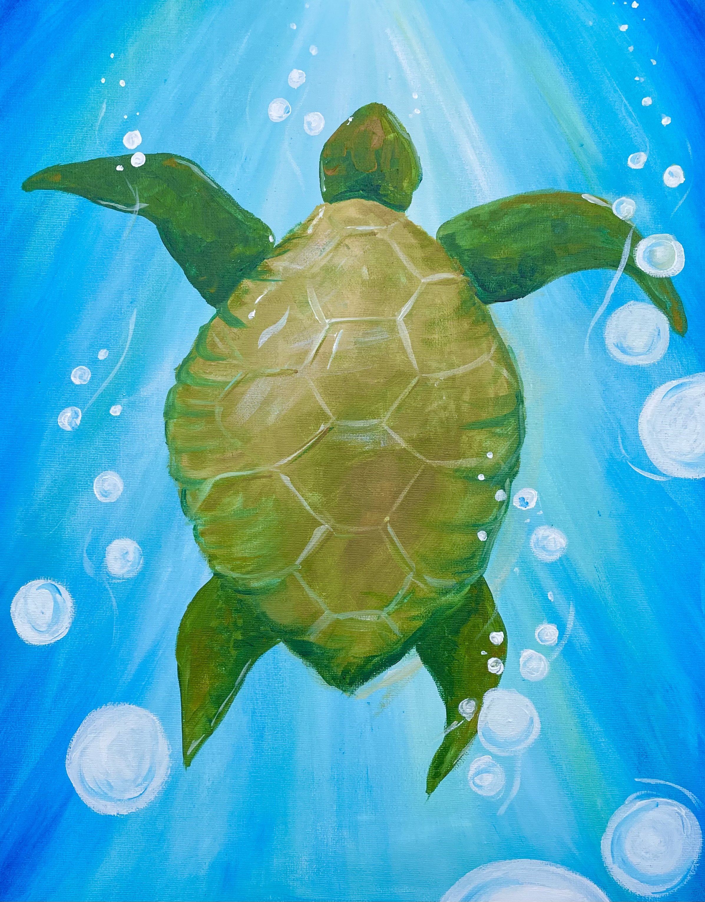 Josie's Paint and Sip - Turtle Painting Guide