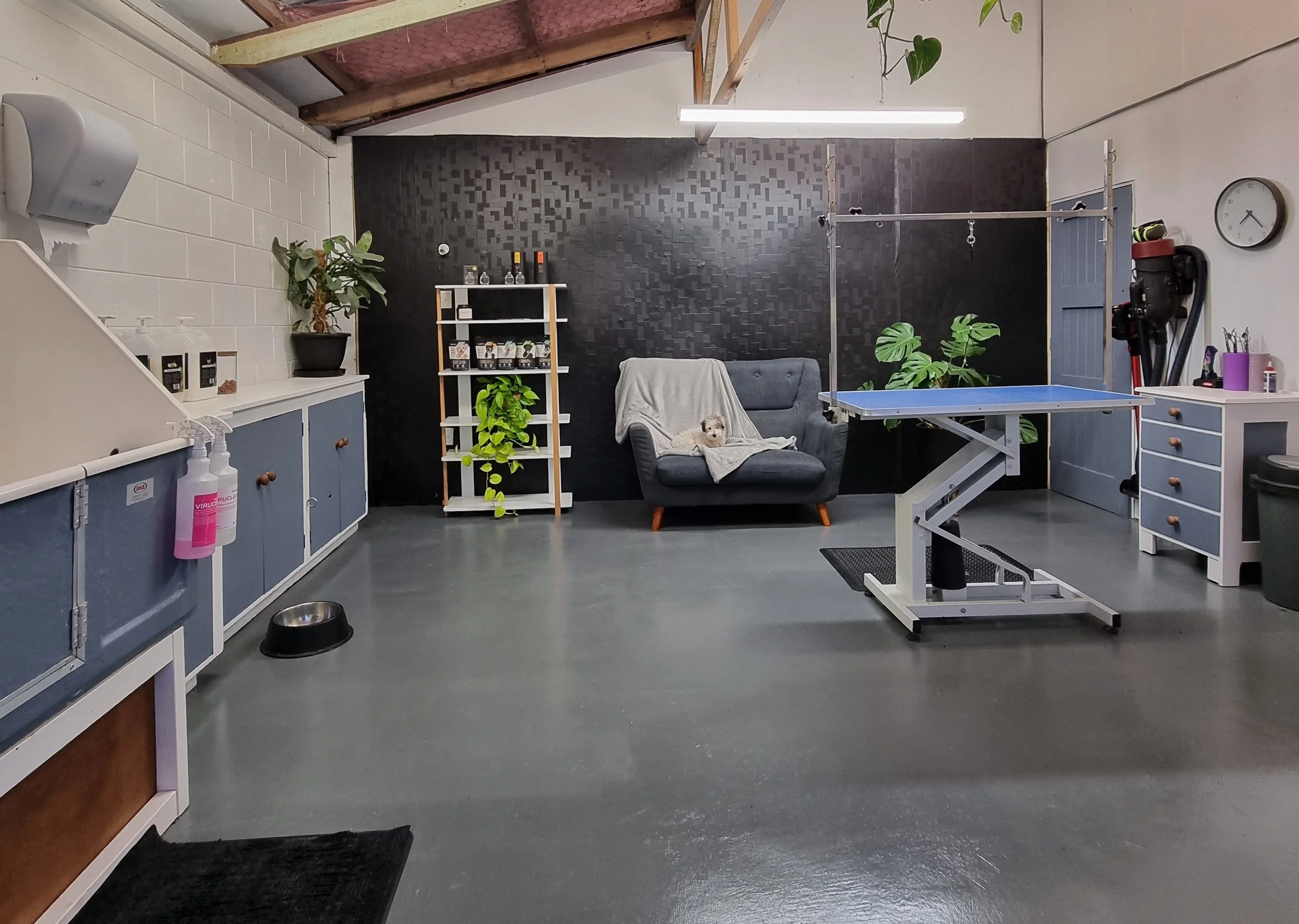 Appointments 1 — Alex's Fur Real Dog Grooming