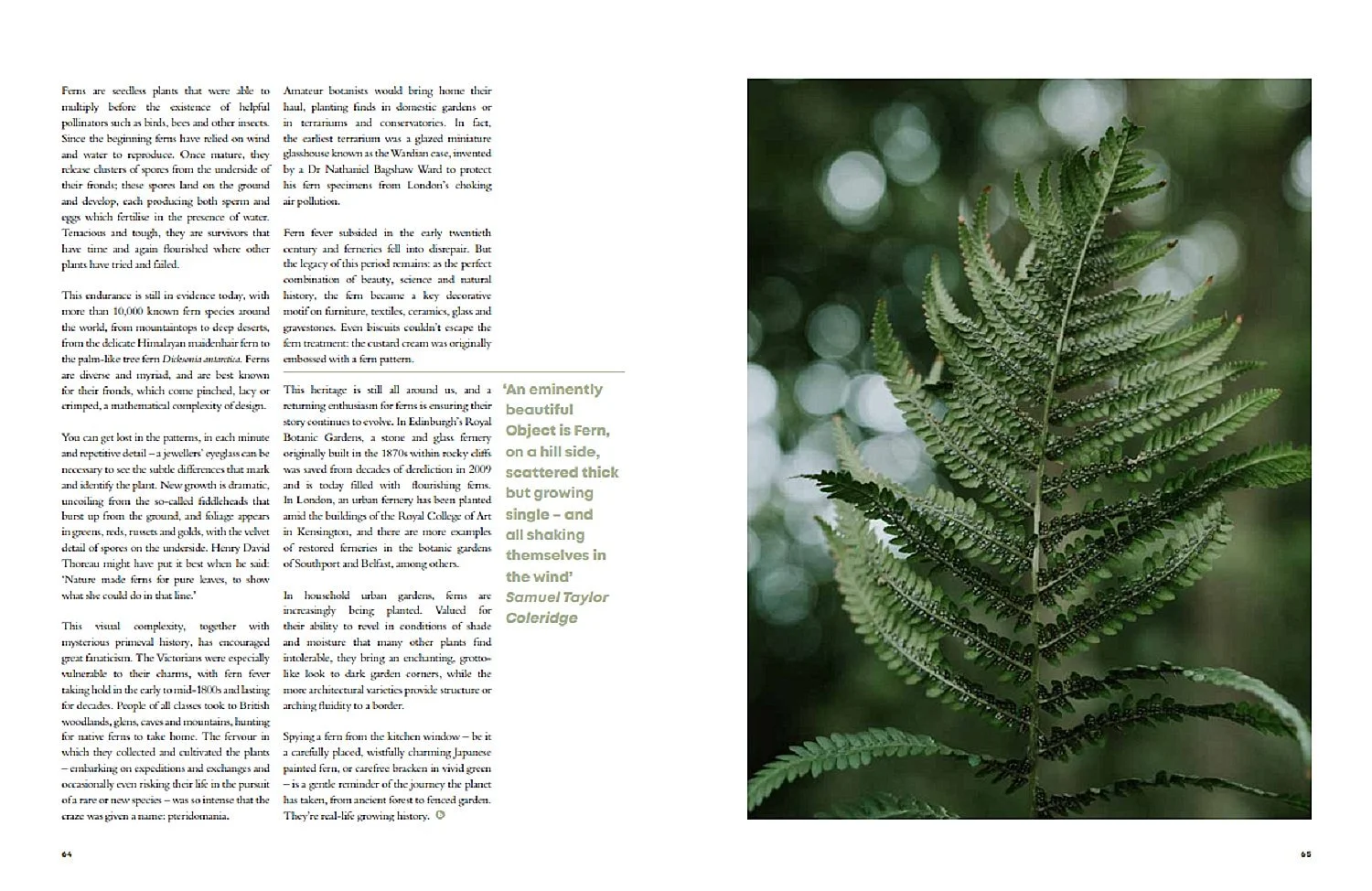 Bloom Magazine, Issue 2 — Camilla Jørvad