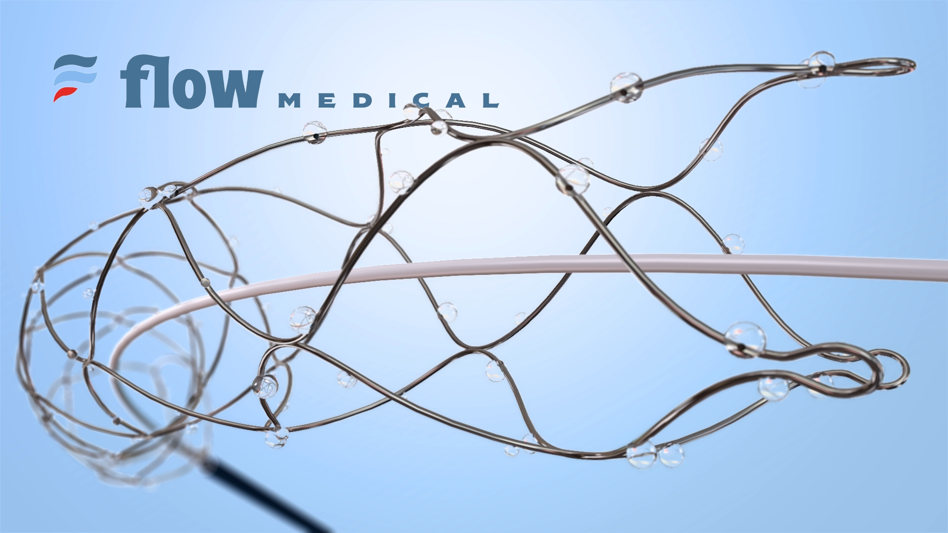 Blog 1 — Flow Medical
