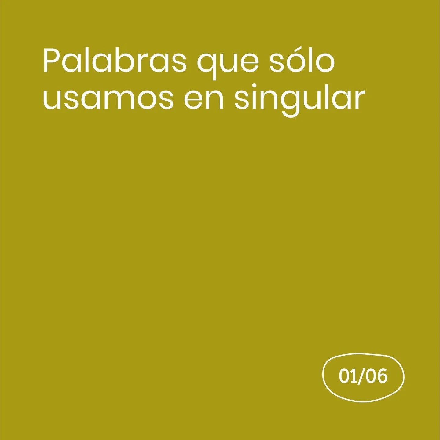 EL CARMEN SPANISH SCHOOL - SPANISH COURSES VALENCIA