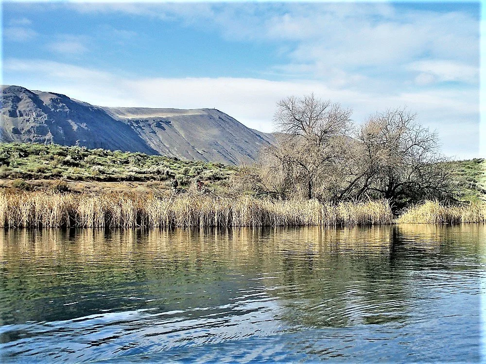 Events and Outings — Clark-Skamania Flyfishers