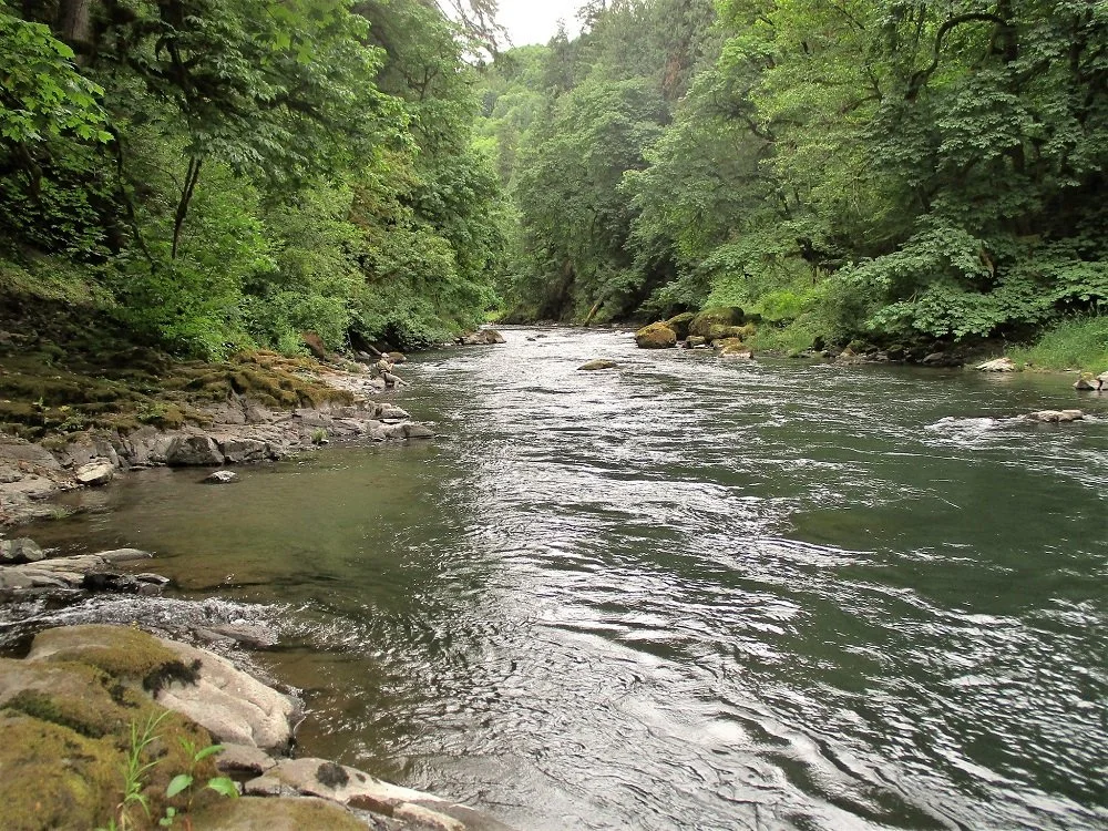 Events and Outings — Clark-Skamania Flyfishers