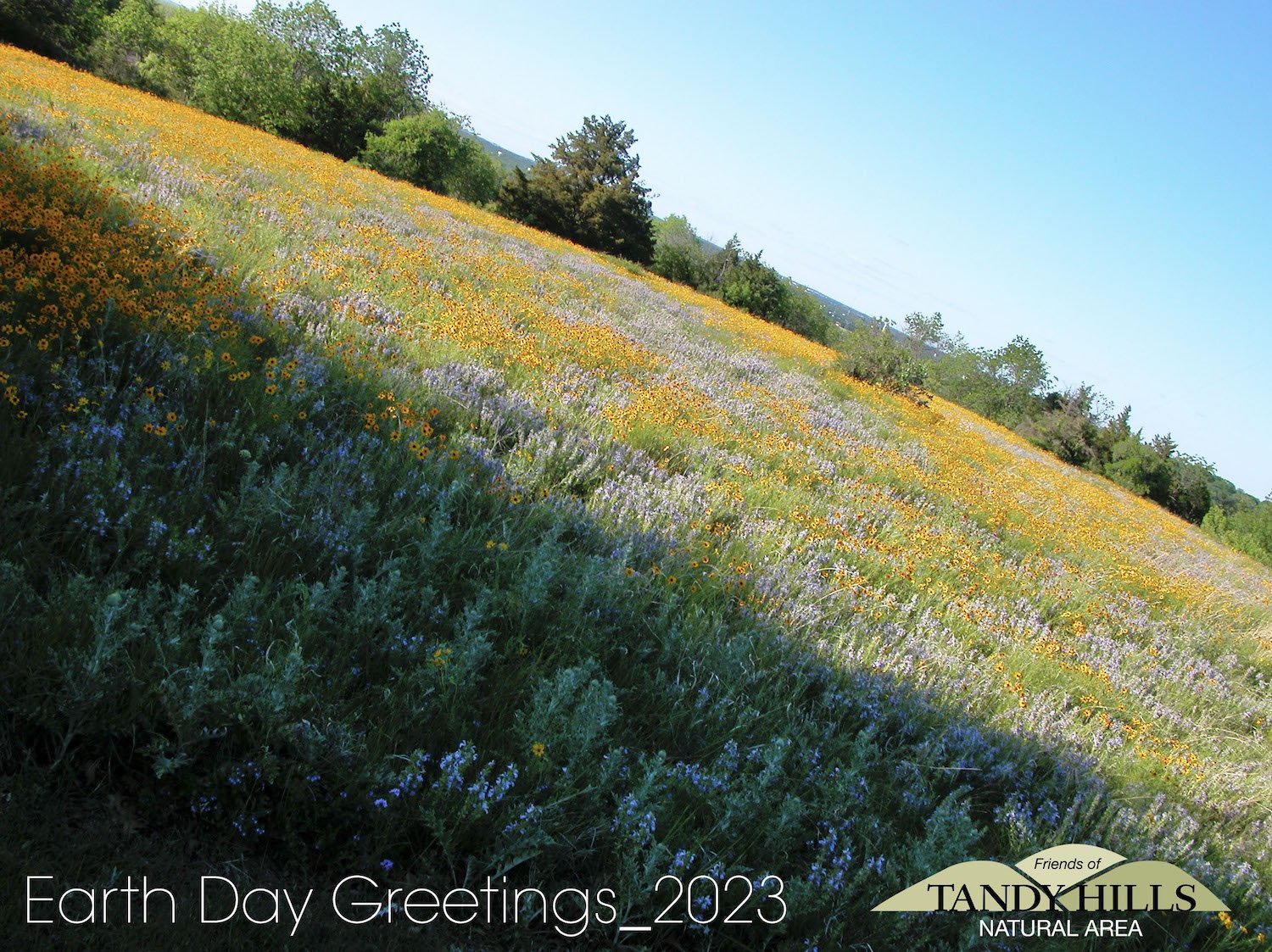 Earth Day Greetings 2023 — Friends of Tandy Hills — Friends of Tandy Hills
