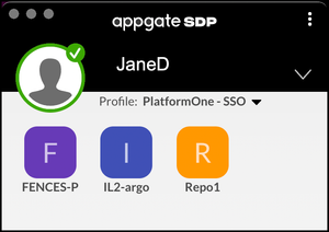 APPGate Installation — Guardians and Airmen Innovation Network