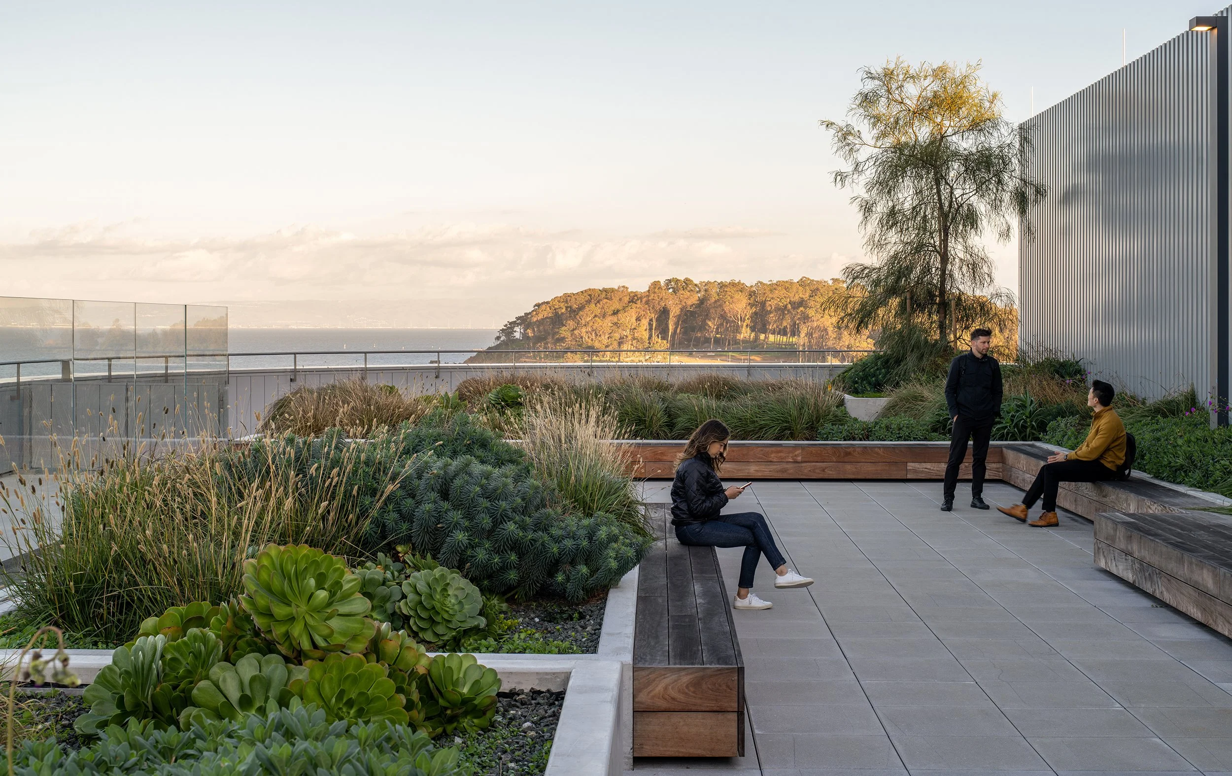 Burlingame Point — PETERSEN STUDIO