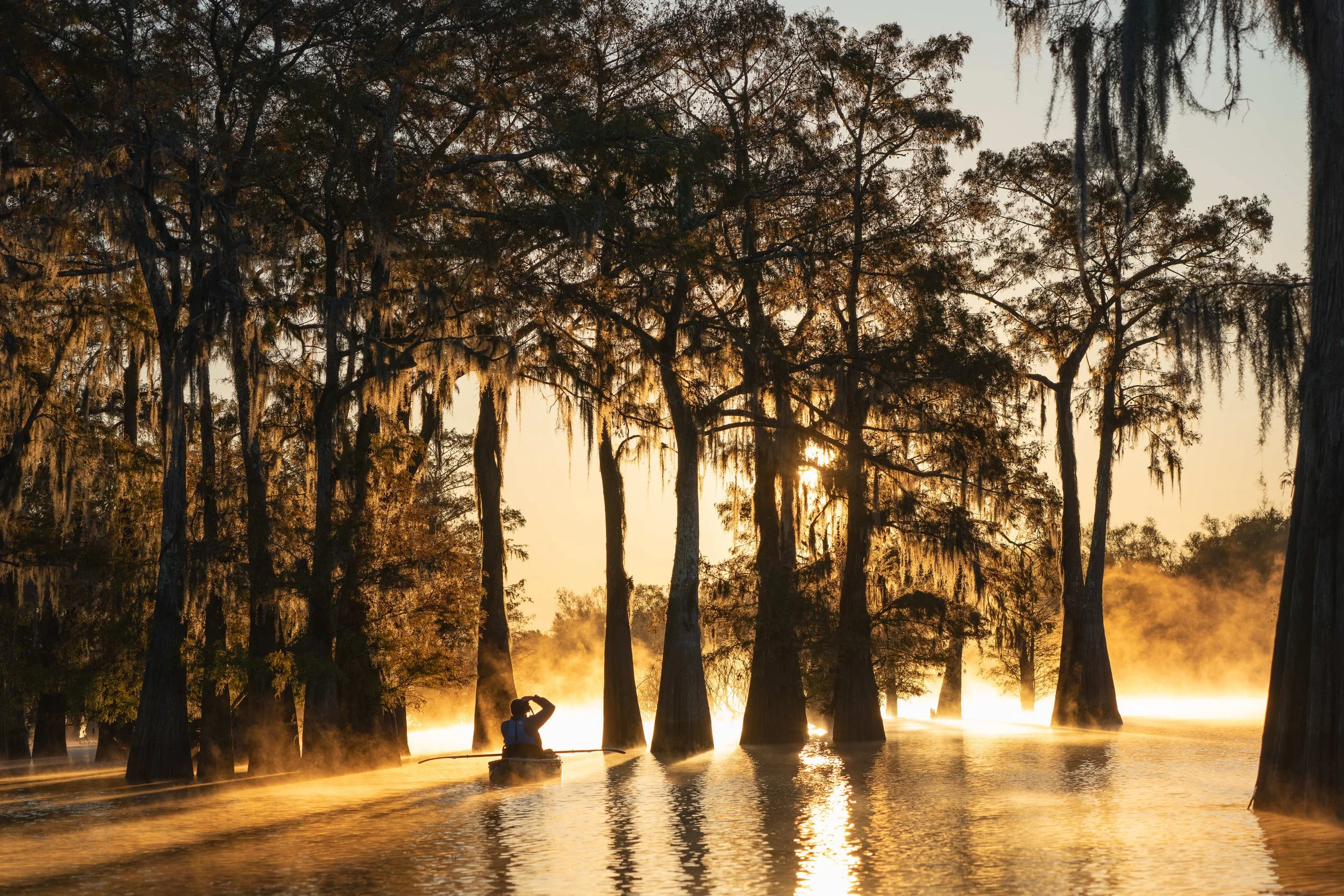 Portfolio — Melissa Dismuke