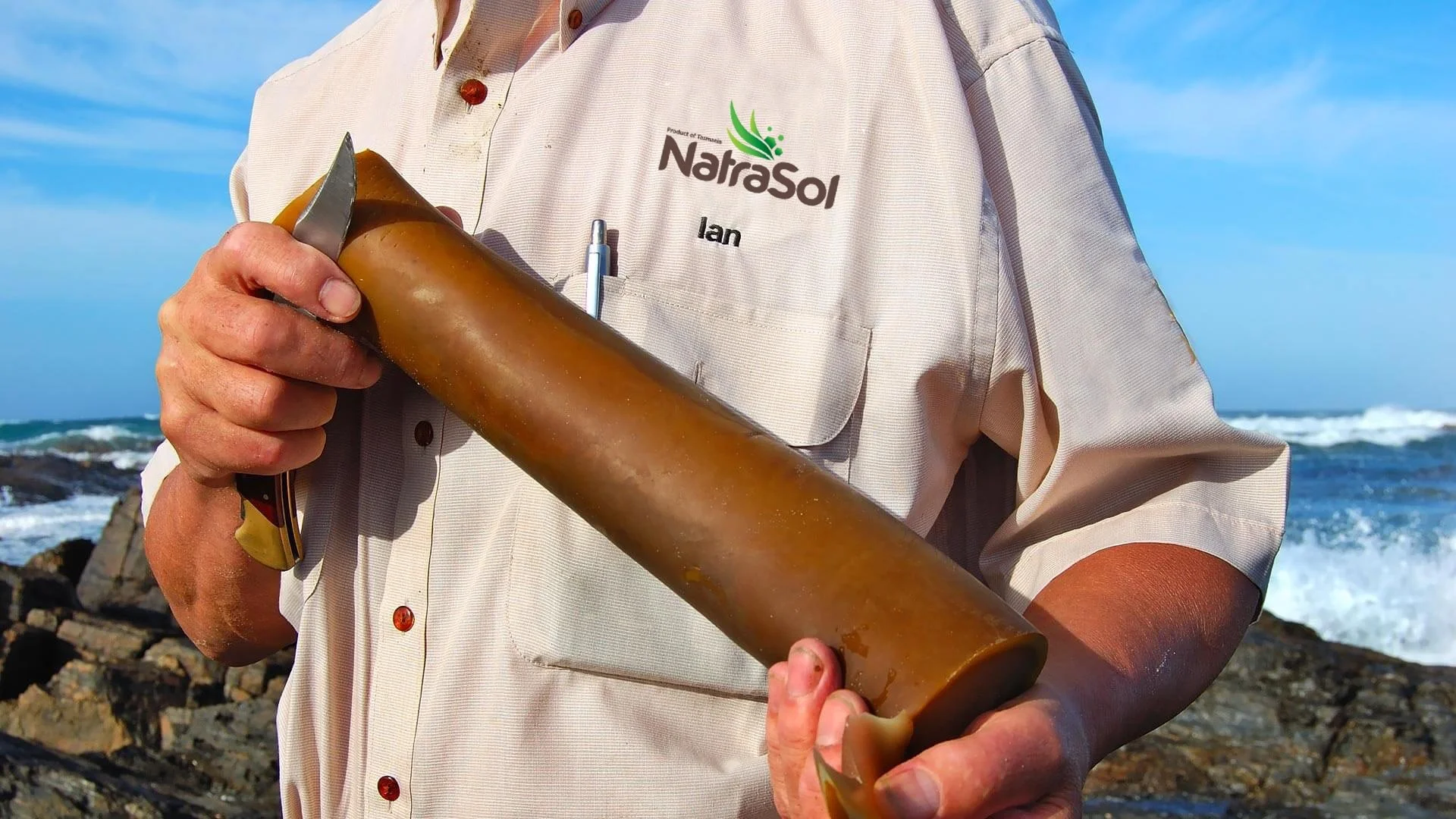 Where To Buy Natrasol Sea Products, Tasmania, Australia — Natrasol