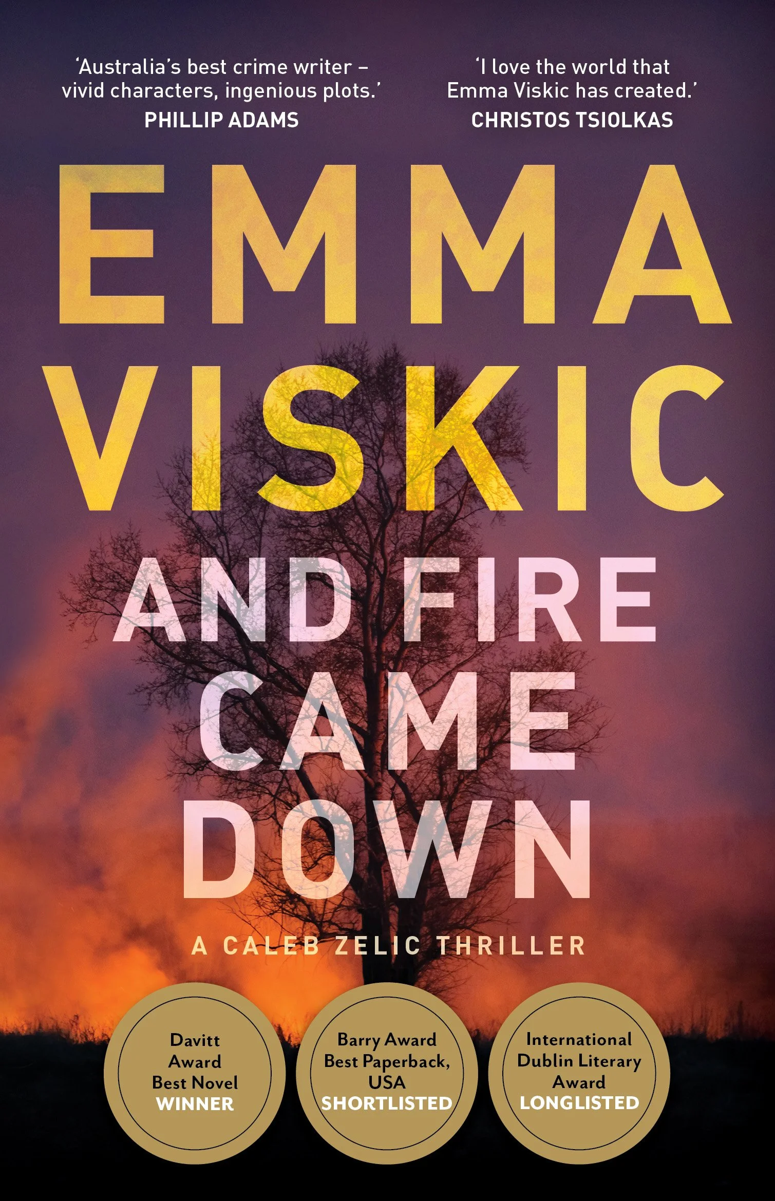 And Fire Came Down by Emma Viskic — Echo Publishing