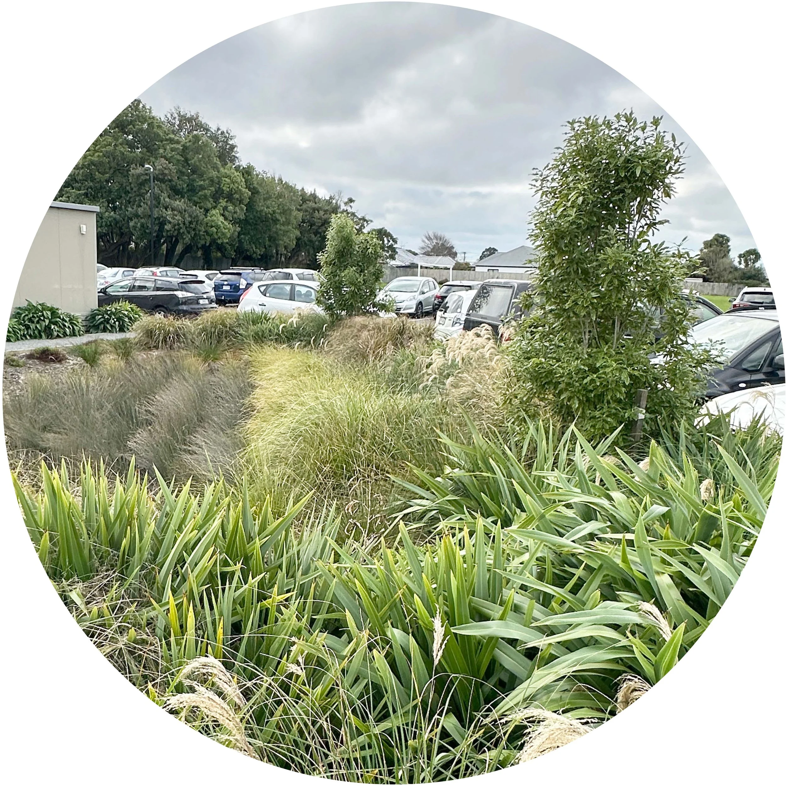 Schools & Campus Landscape | Botanic Landscape Architects