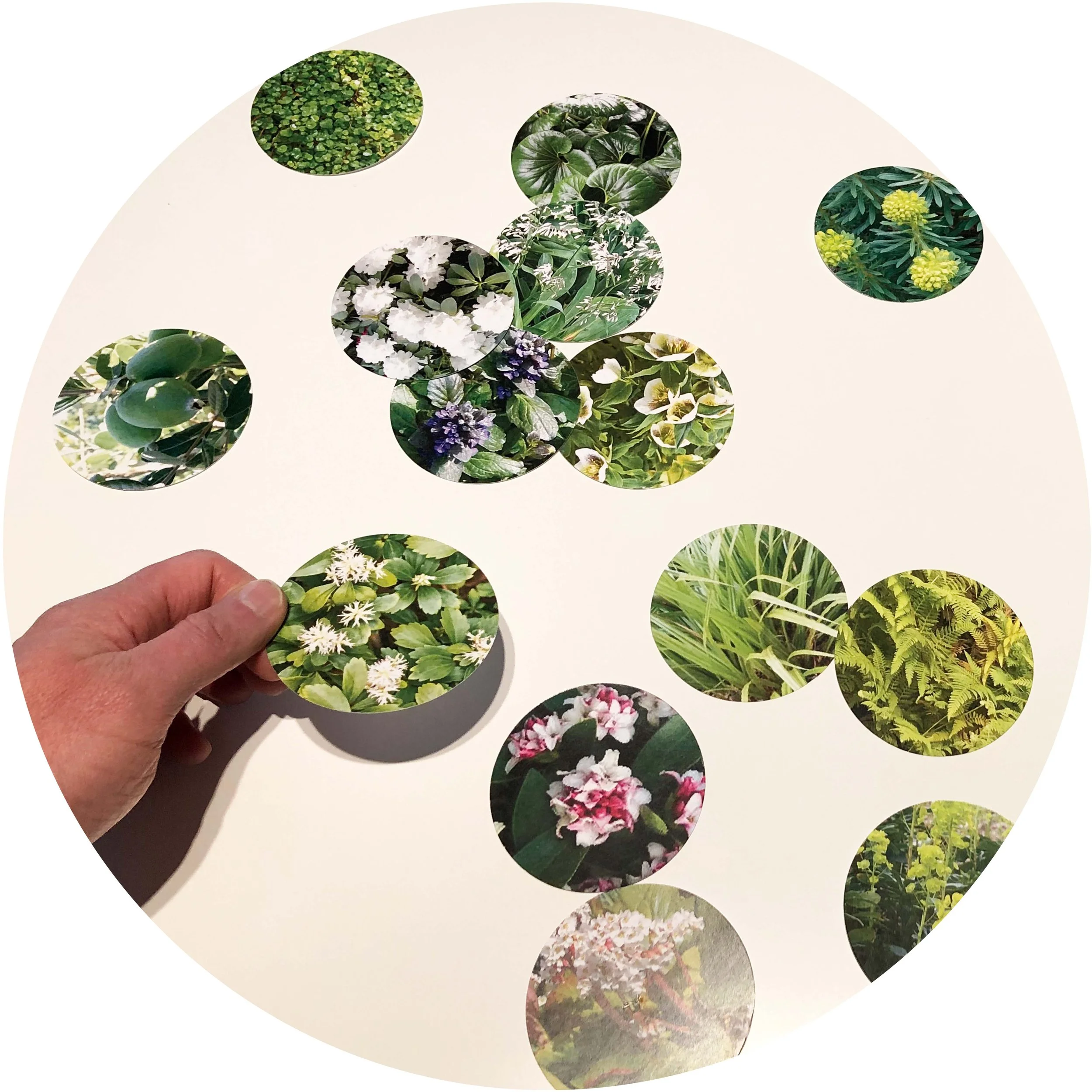 Commercial Planting Design | Botanic Landscape Architects