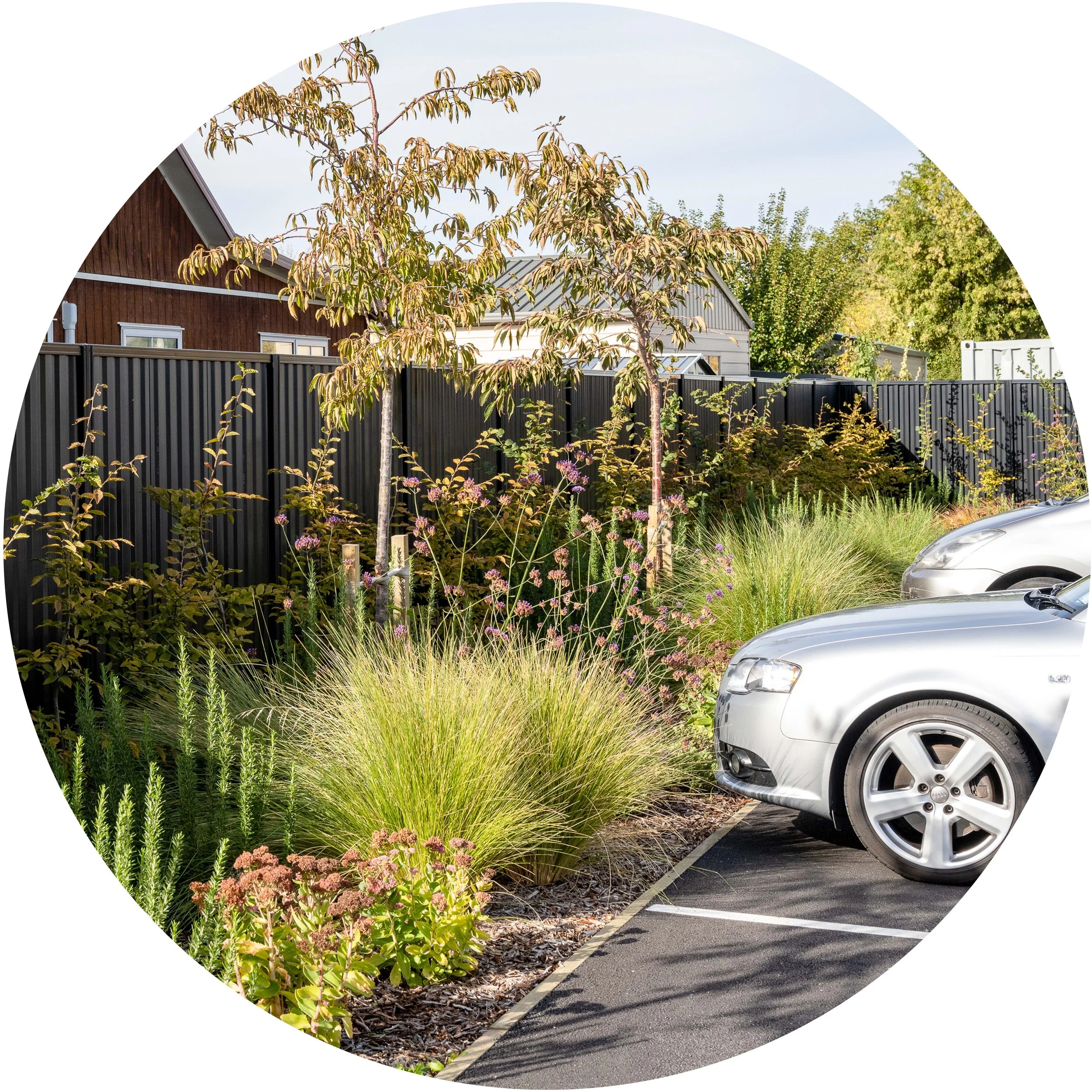 Commercial Landscape Design | Botanic Landscape Architects