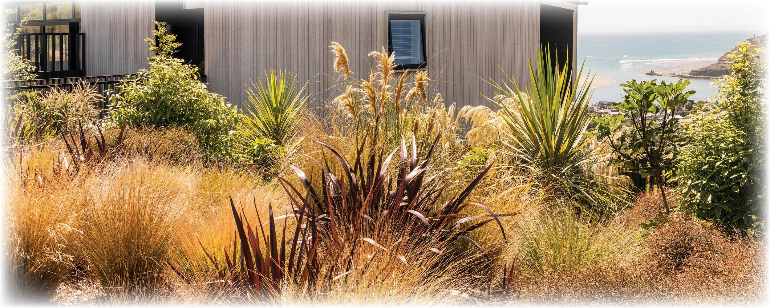 Commercial Planting Design | Botanic Landscape Architects
