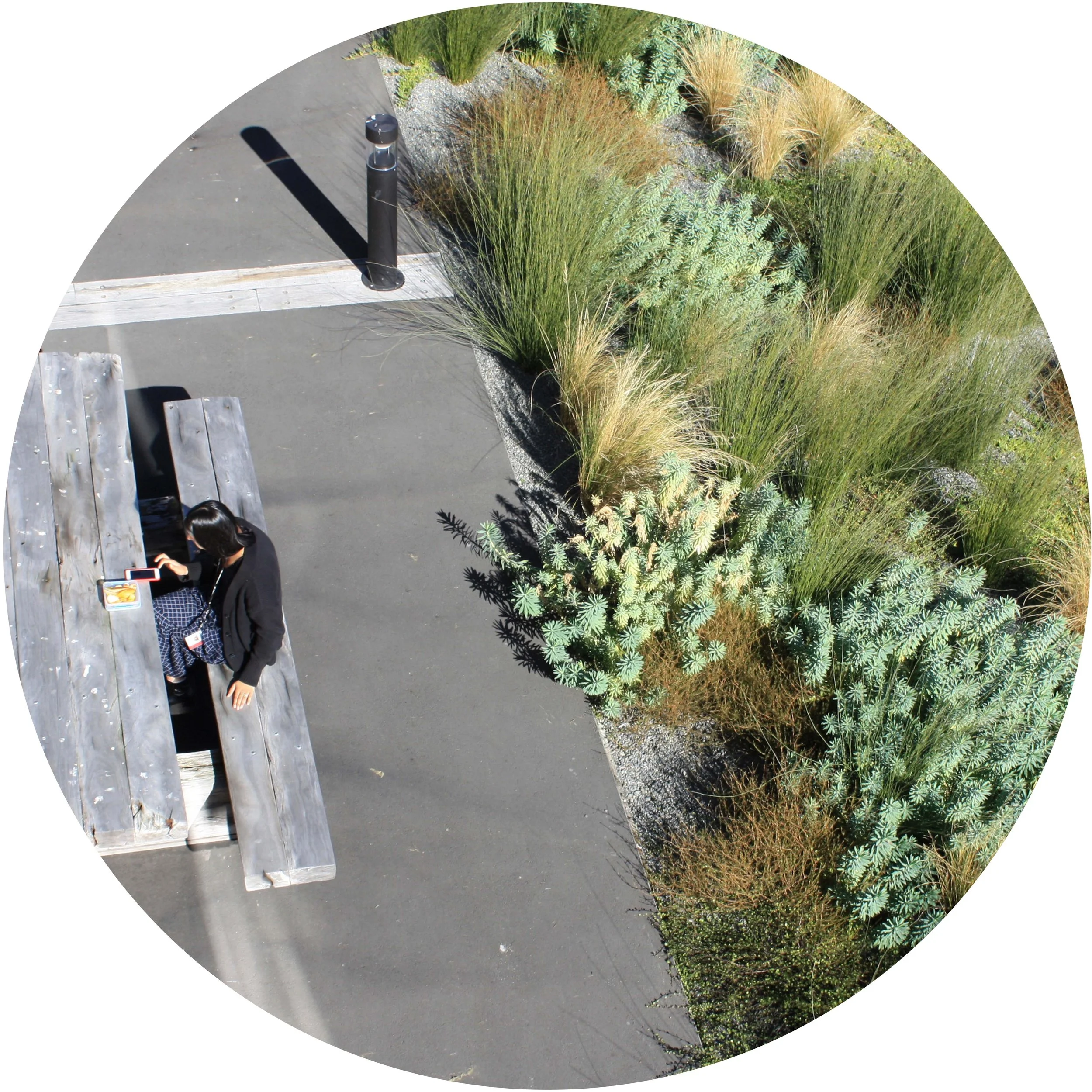 Commercial Landscape Design | Botanic Landscape Architects