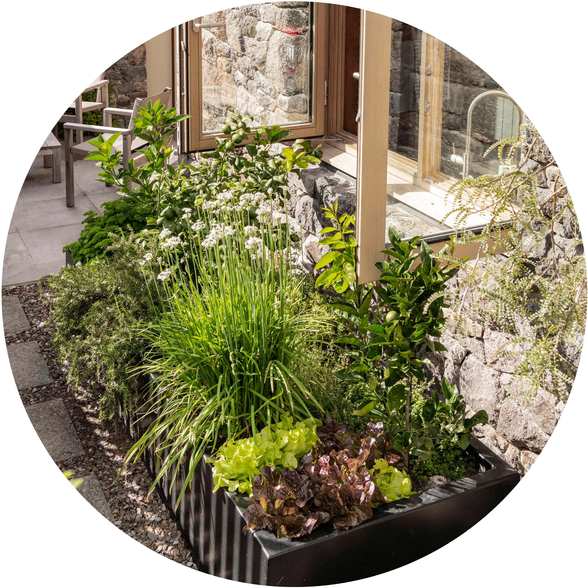 Commercial Planting Design | Botanic Landscape Architects