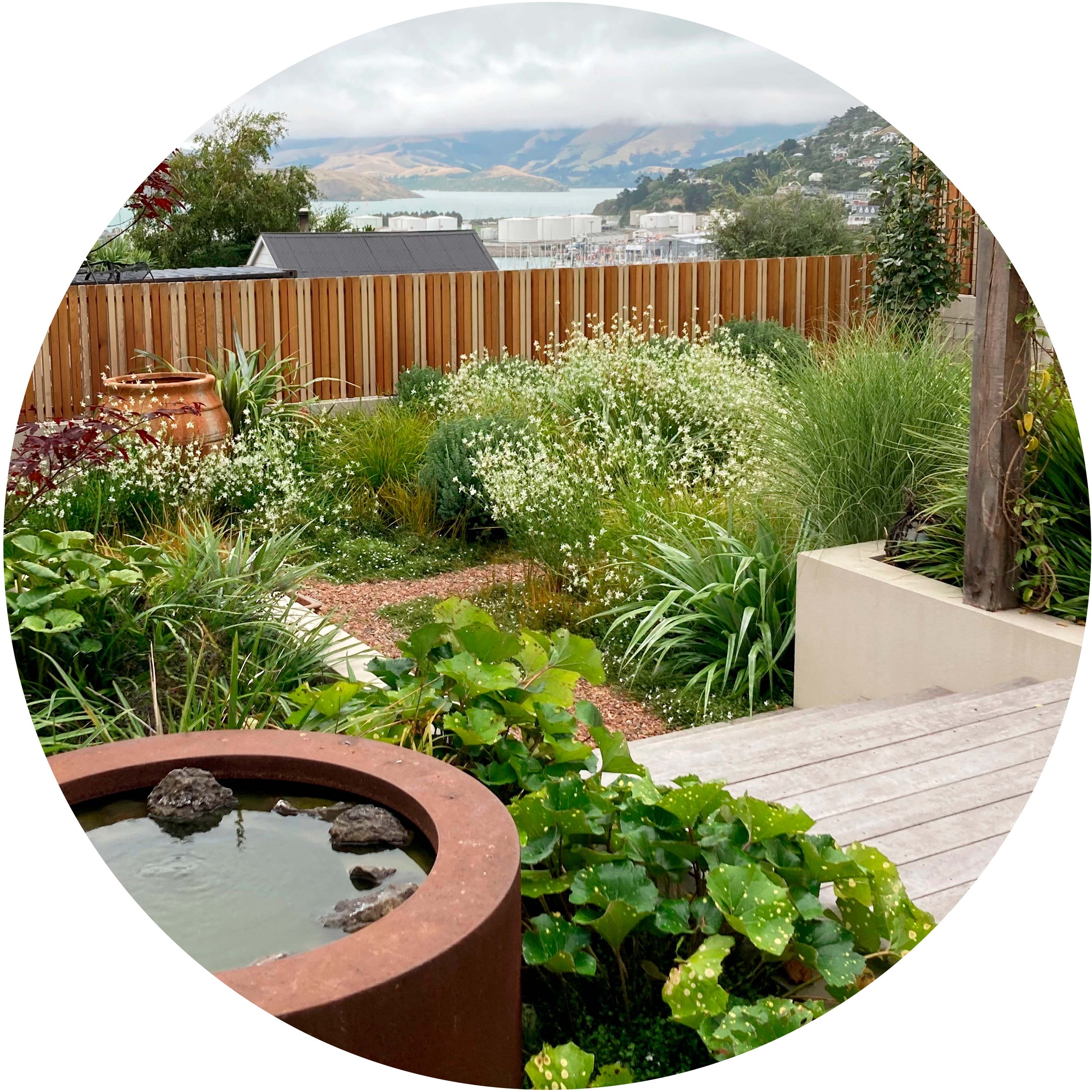 Commercial Planting Design | Botanic Landscape Architects