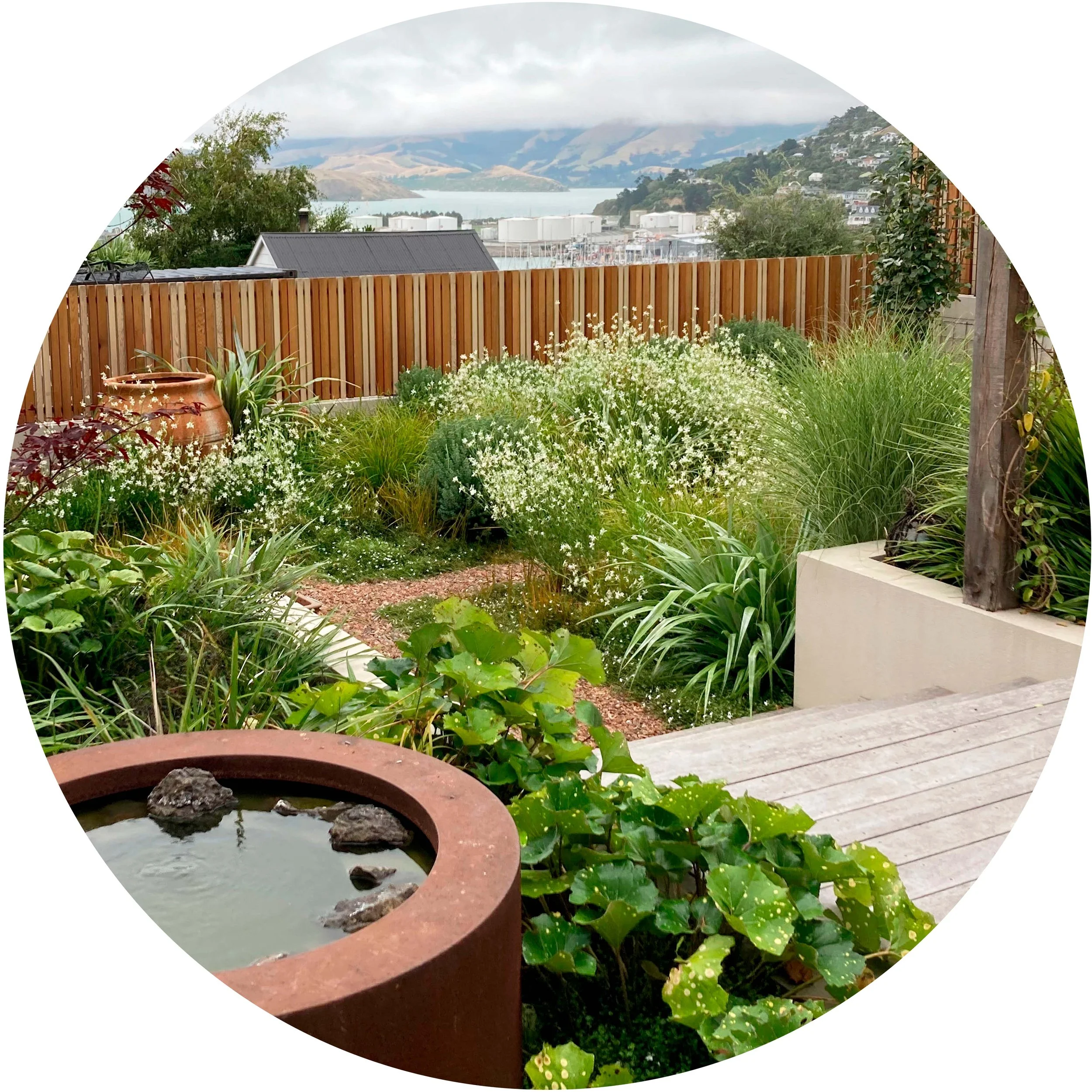 Schools & Campus Landscape | Botanic Landscape Architects