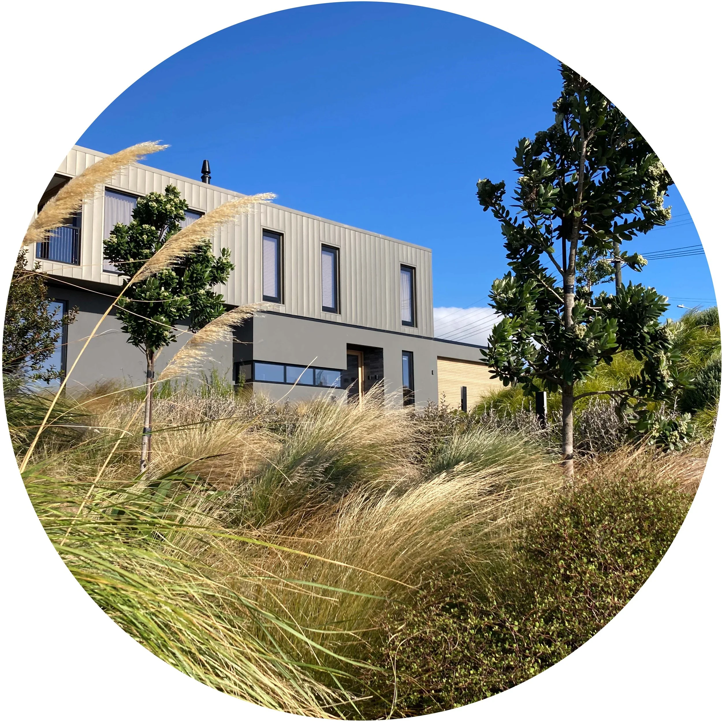 Commercial Planting Design | Botanic Landscape Architects