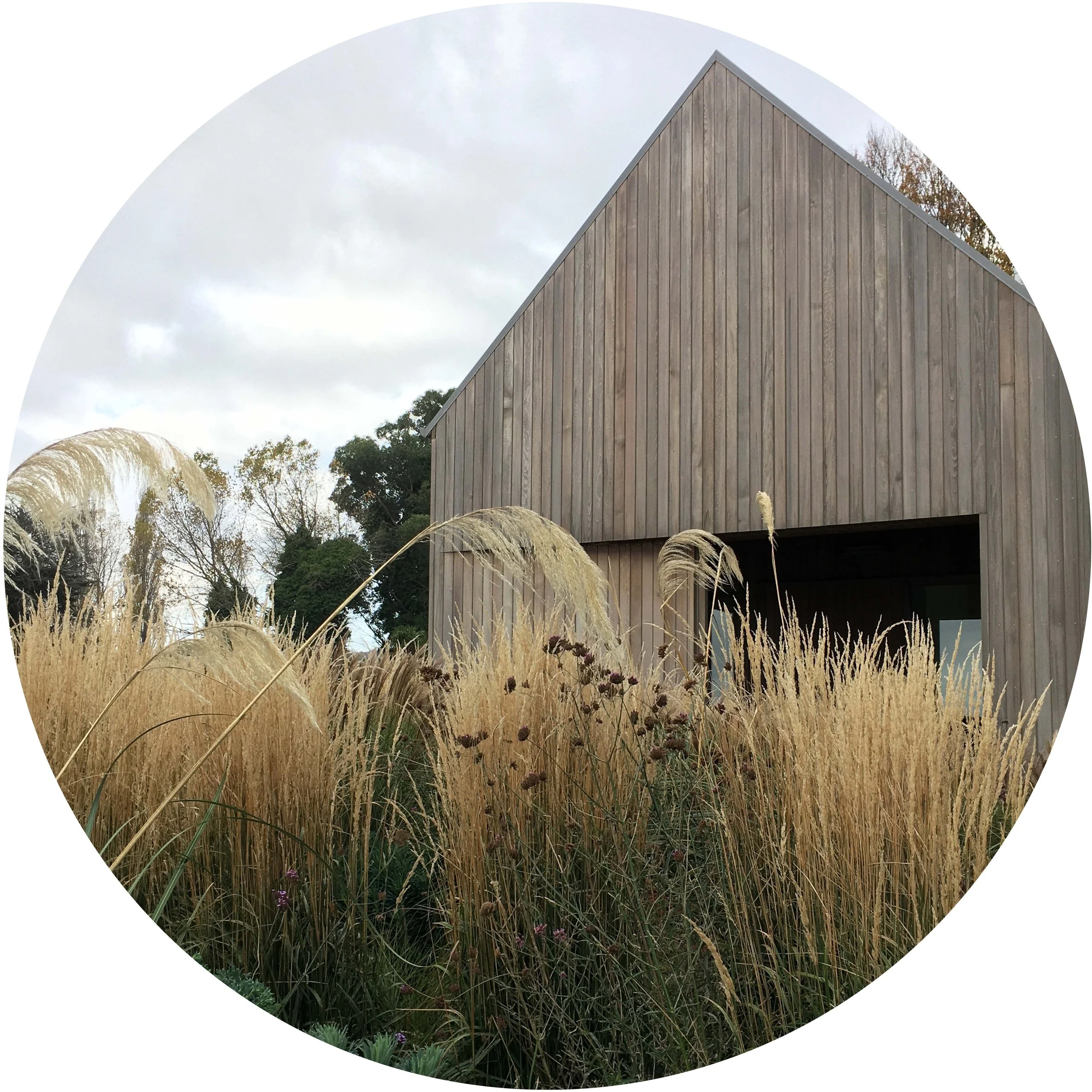 Commercial Planting Design | Botanic Landscape Architects