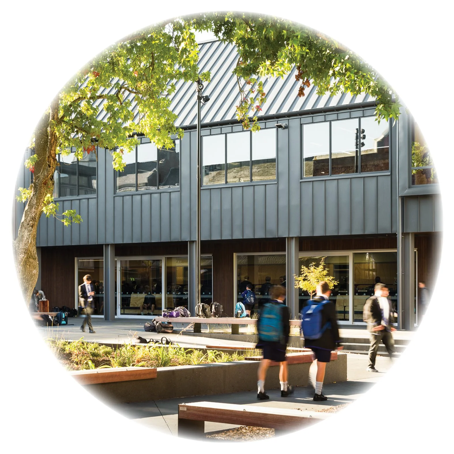Schools & Campus Landscape | Botanic Landscape Architects