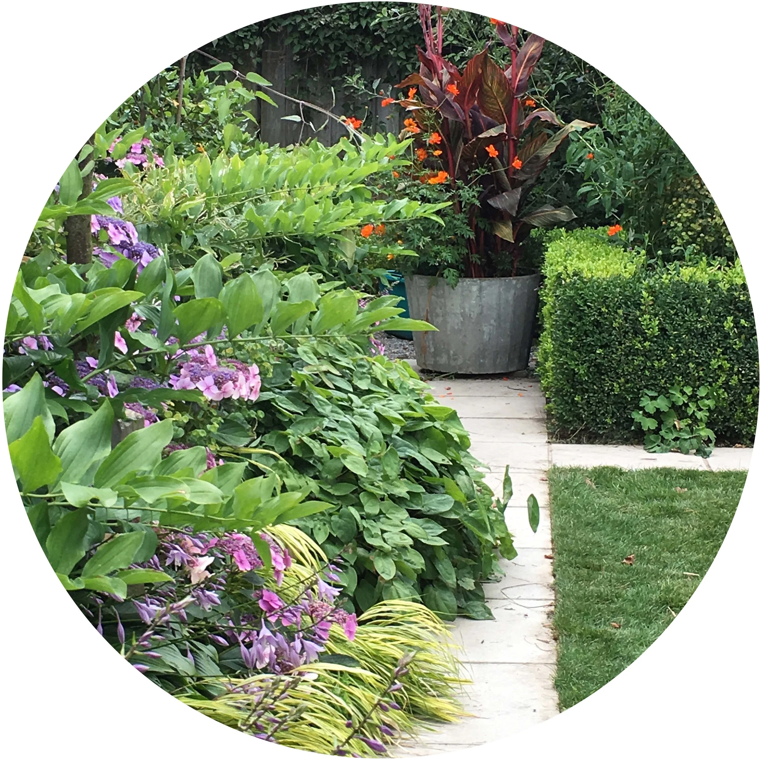 Residential Garden Landscapes | Botanic Landscape Architects