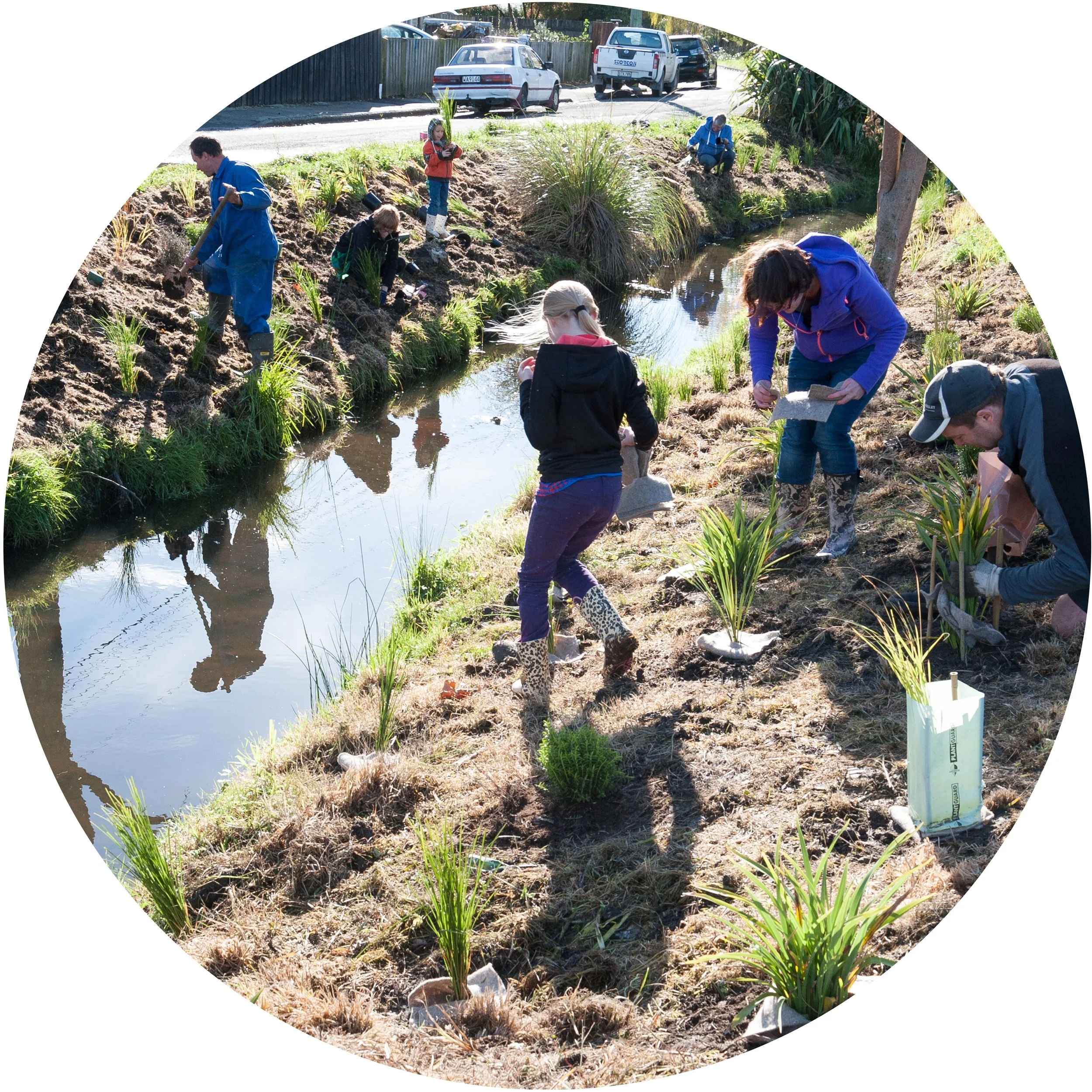 Garden Design & Landscapes | Botanic Landscape Architects