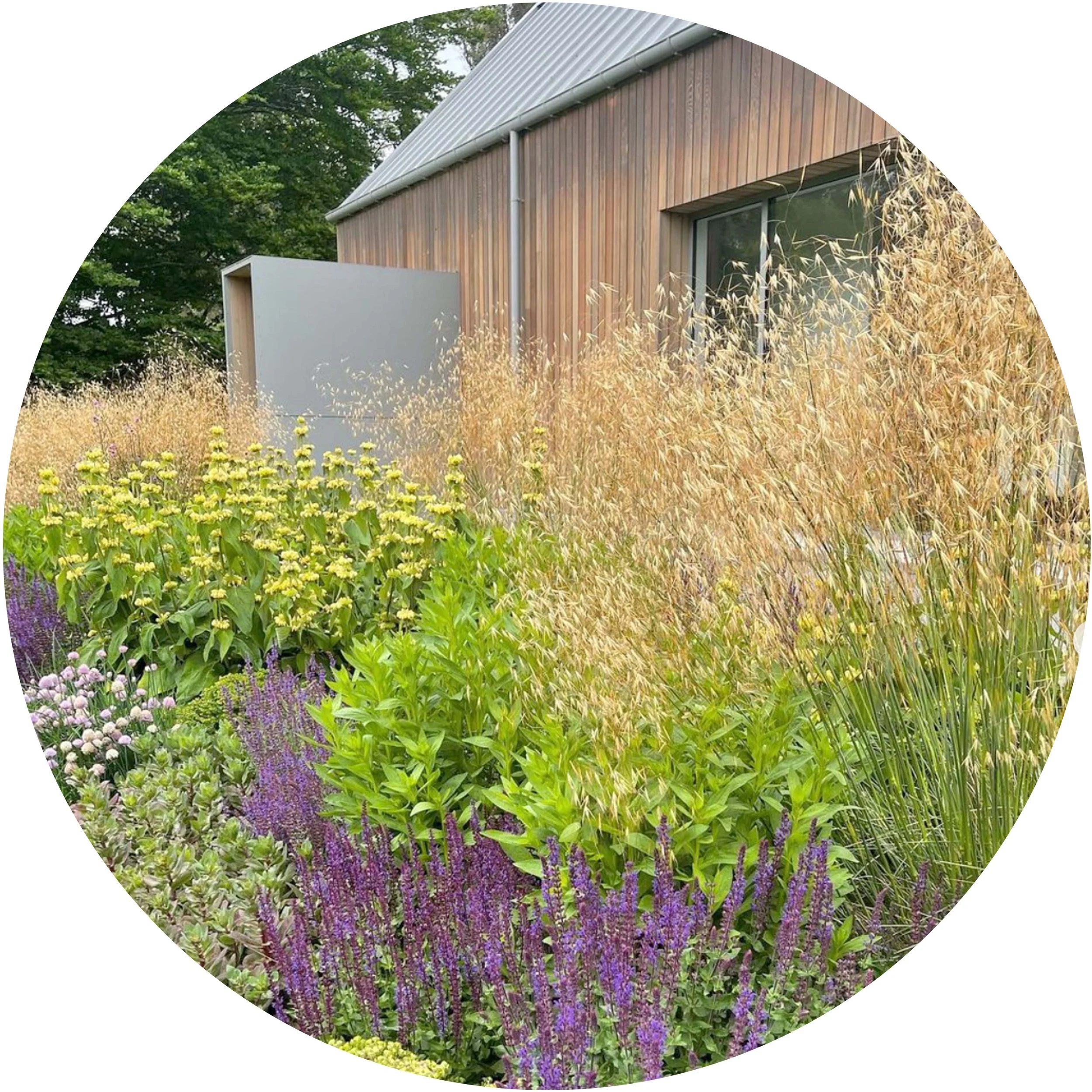 Commercial Planting Design | Botanic Landscape Architects