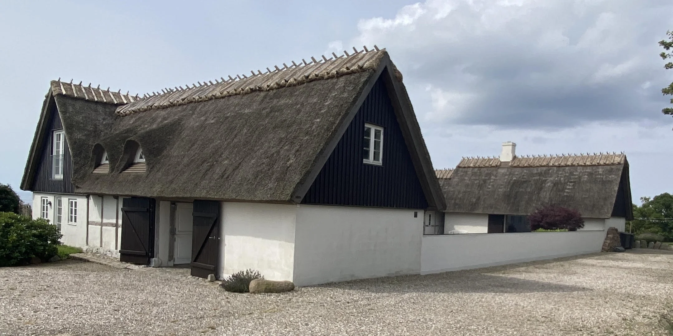 A thatch comeback? — Motiv