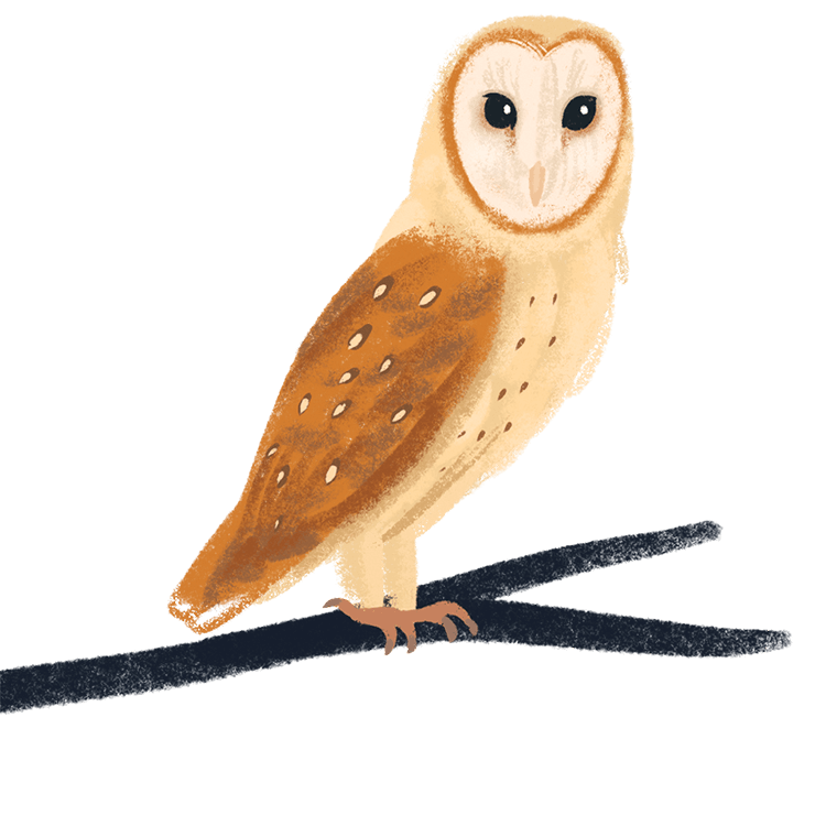 Jess McGeachin | Illustrator & Author — Melbourne, Australia