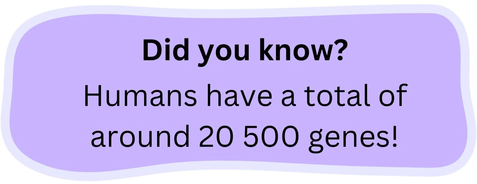 Genomics 101 Integrating Genomics Into Medicine Igm