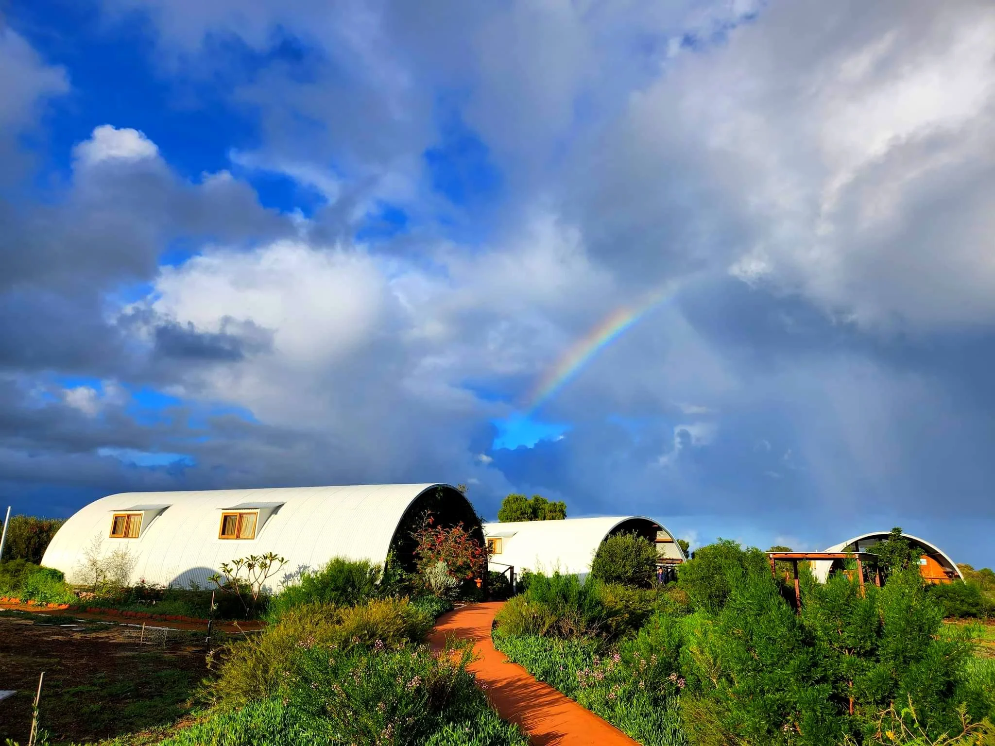 Leaning Tree Steiner School-Leaning Tree Steiner School