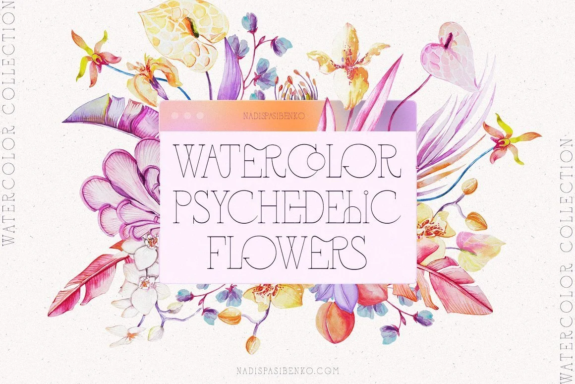 2000+ Collage & Graphic BUNDLE — Artcoast Studio