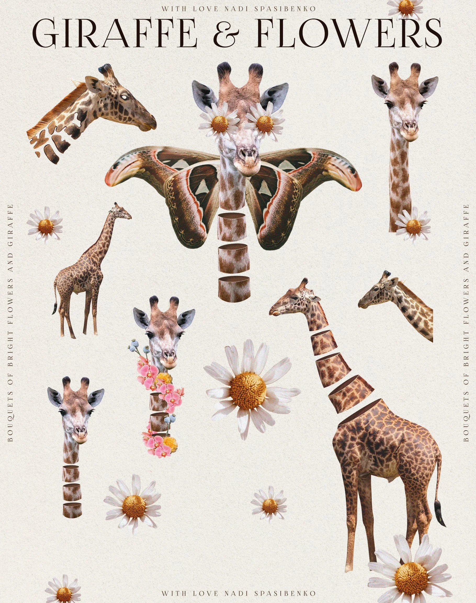 Animals & Flowers Collage — Artcoast Studio