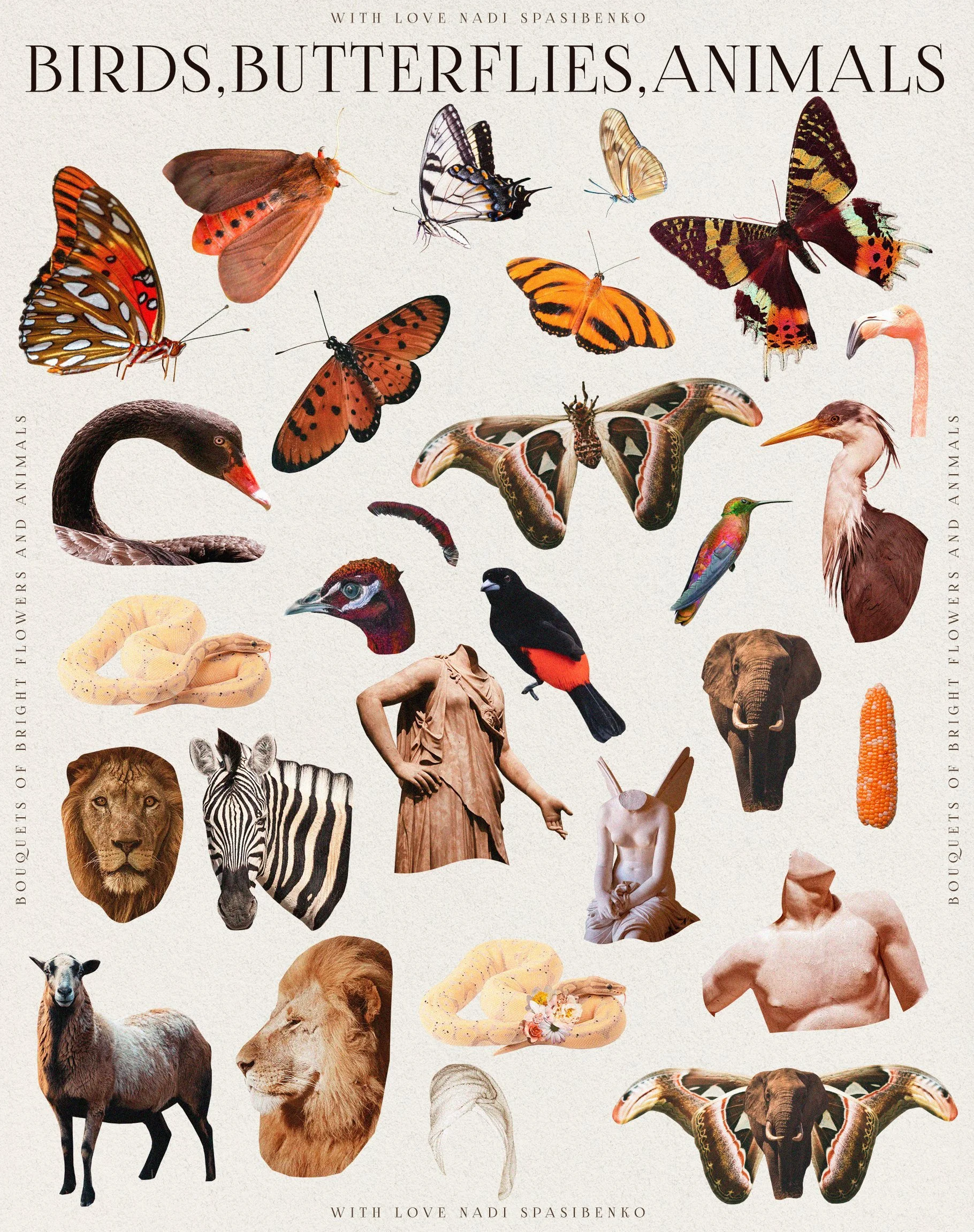 Animals & Flowers Collage — Artcoast Studio