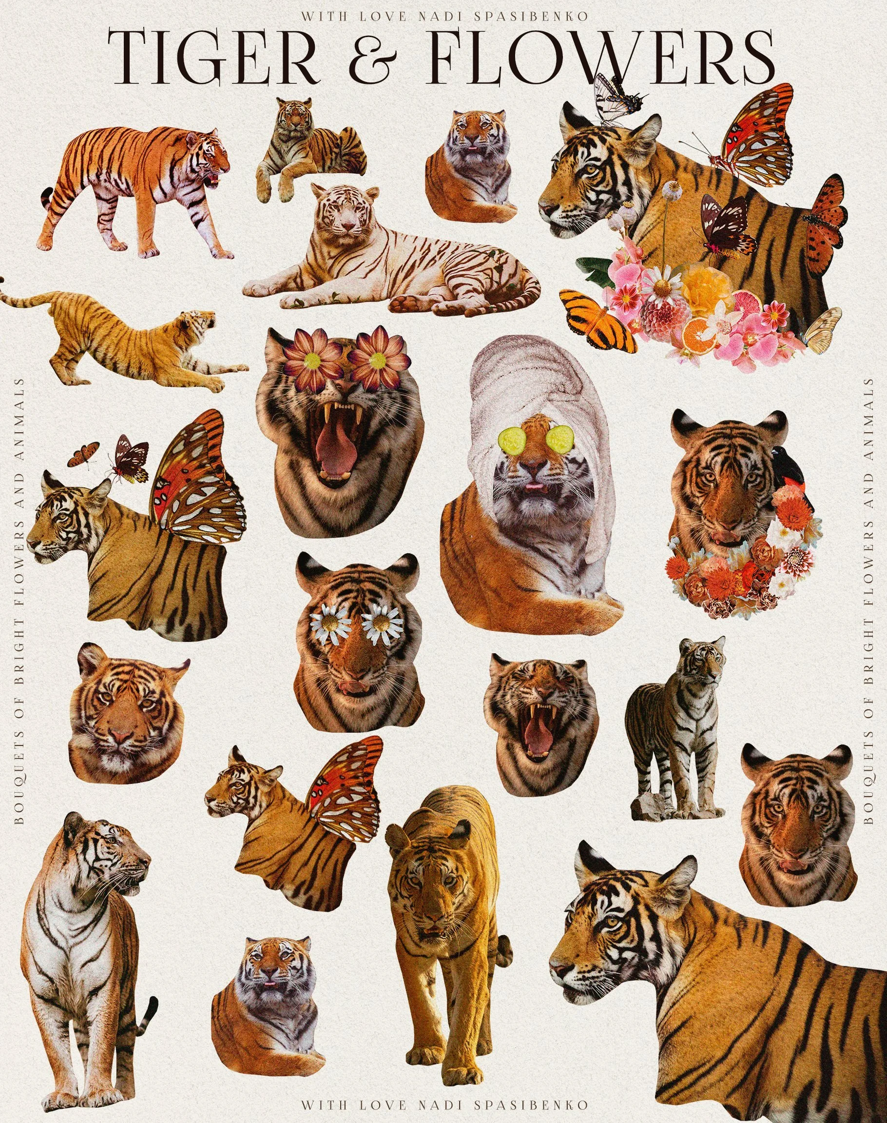 Animals & Flowers Collage — Artcoast Studio