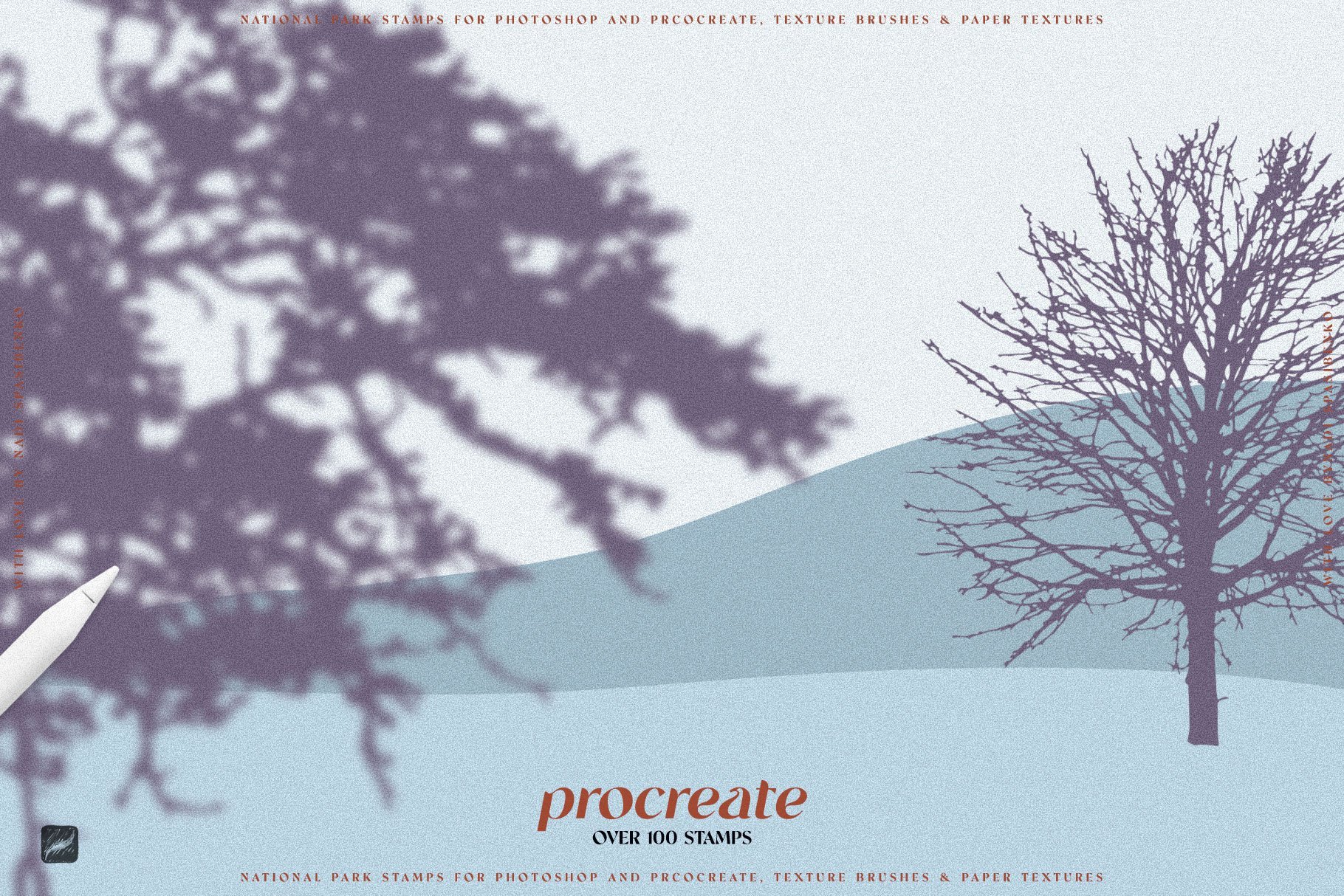 Procreate Realistic Feather Brushes — Artcoast Studio