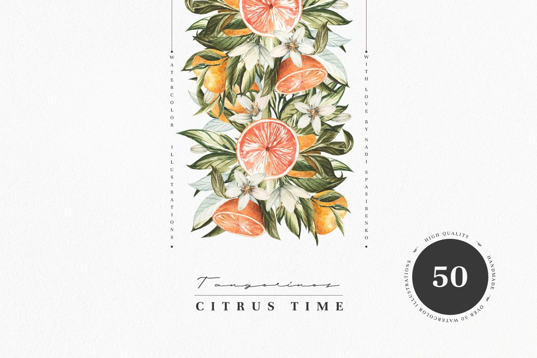 Citrus Time: Mandarin - Watercolor Illustrations Kit — Artcoast Studio