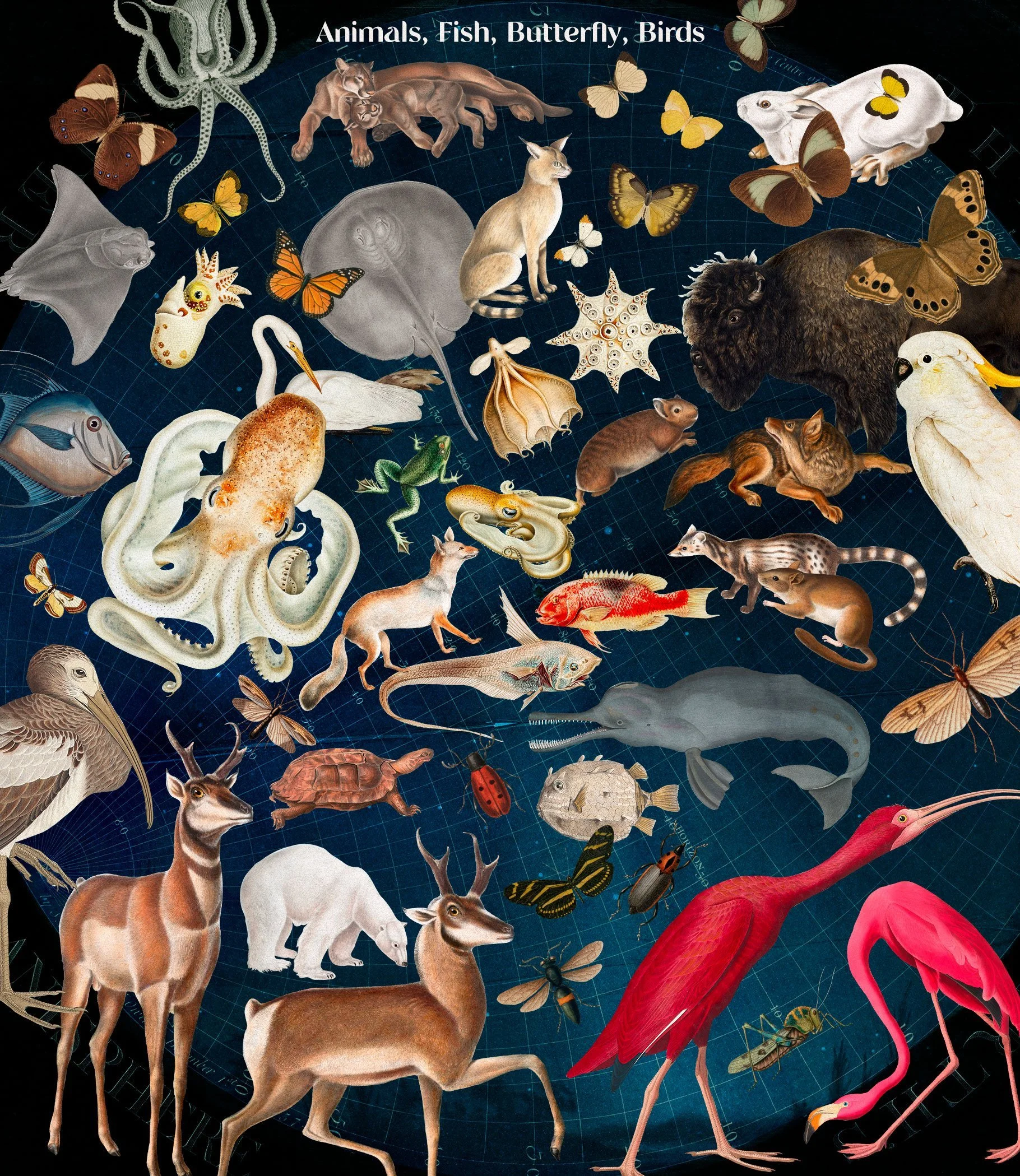 Incredible Vintage - Collages & Graphics — Artcoast Studio