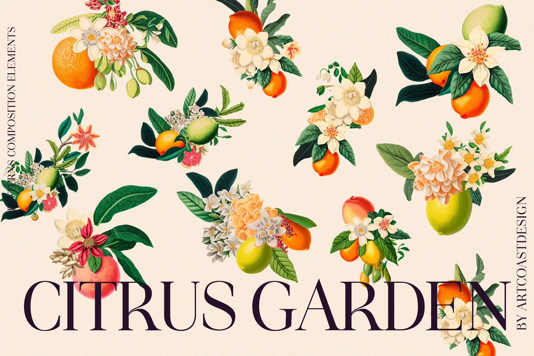 Citrus Garden Flowers Clipart & Posters — Artcoast Studio