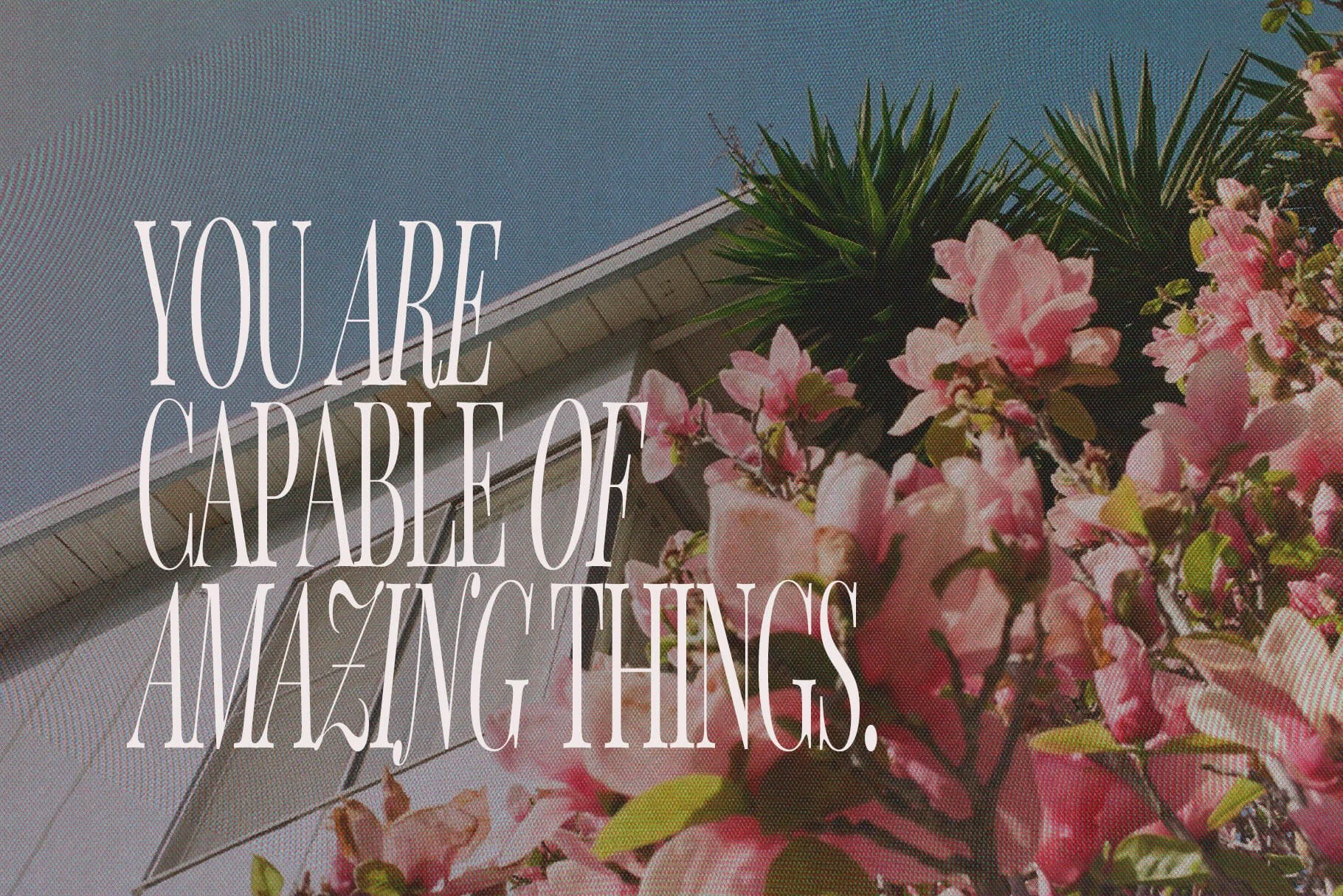 SA Magazine | Elegant Serif Font — Artcoast Studio