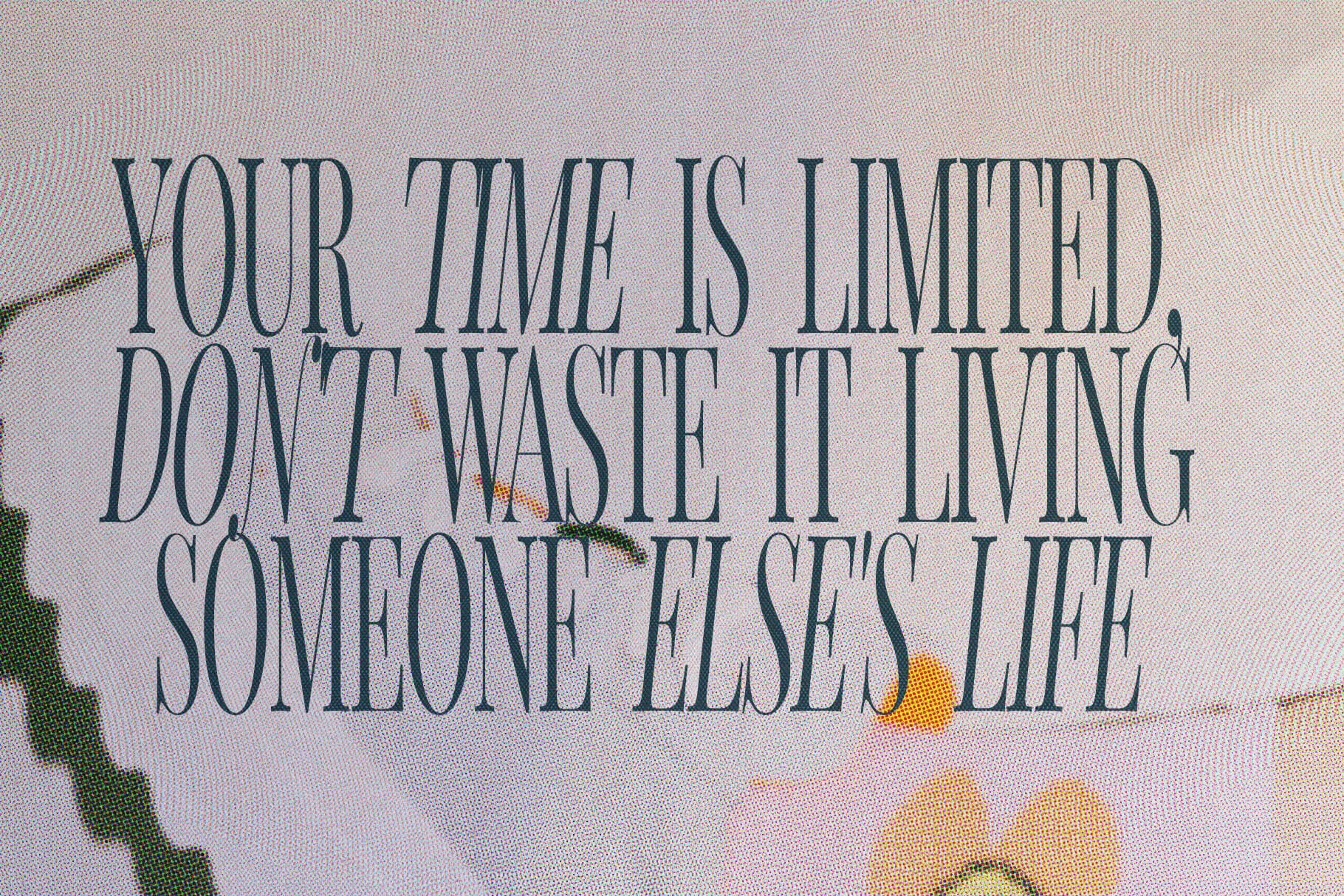 SA Magazine | Elegant Serif Font — Artcoast Studio