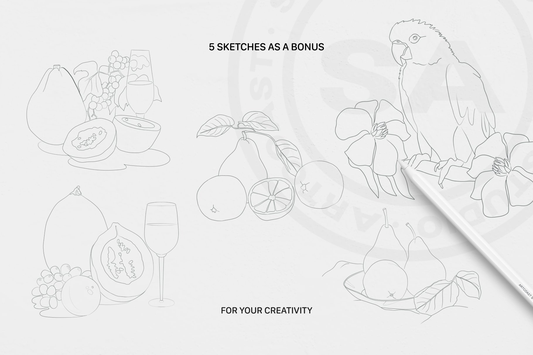 Procreate Stamps for Creating Cute Animal Characters — Artcoast Studio