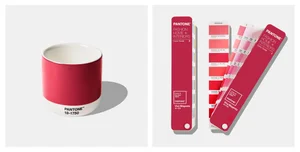 Introducing PANTONE 18-1750 Viva Magenta, 2023's Color of the Year!