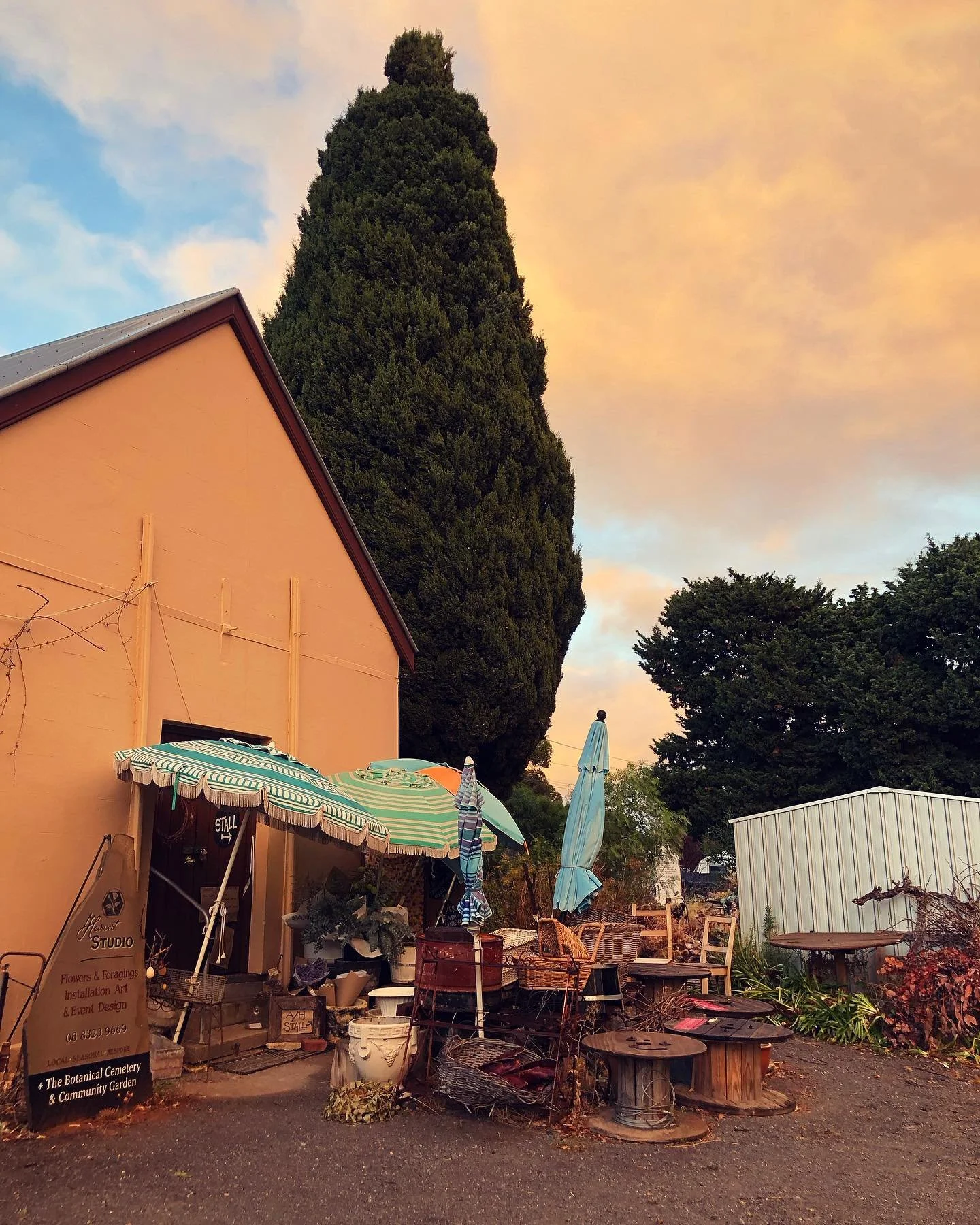 GALLERY — Harvest Studio